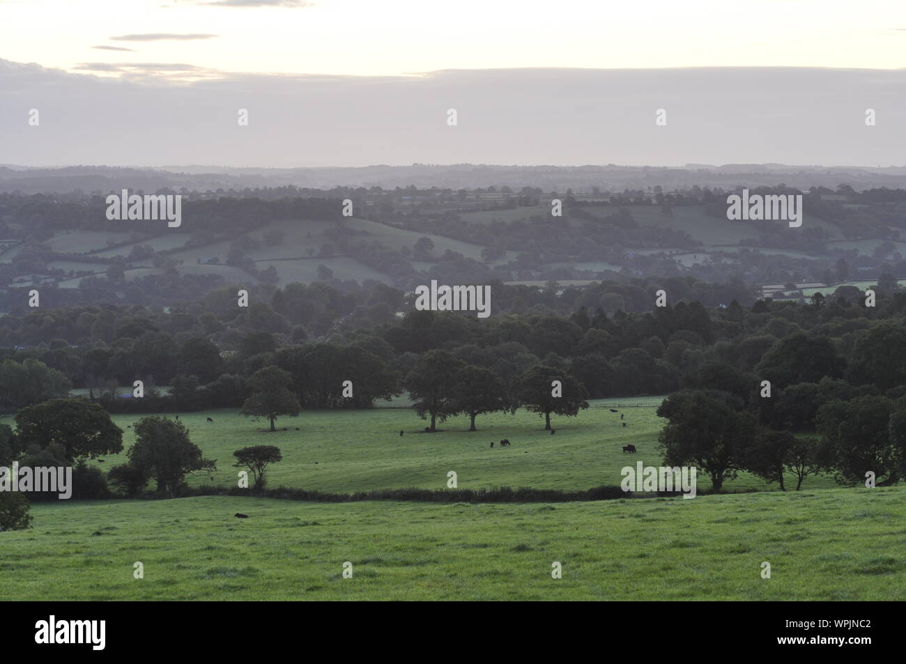 Harptree hi-res stock photography and images - Alamy
