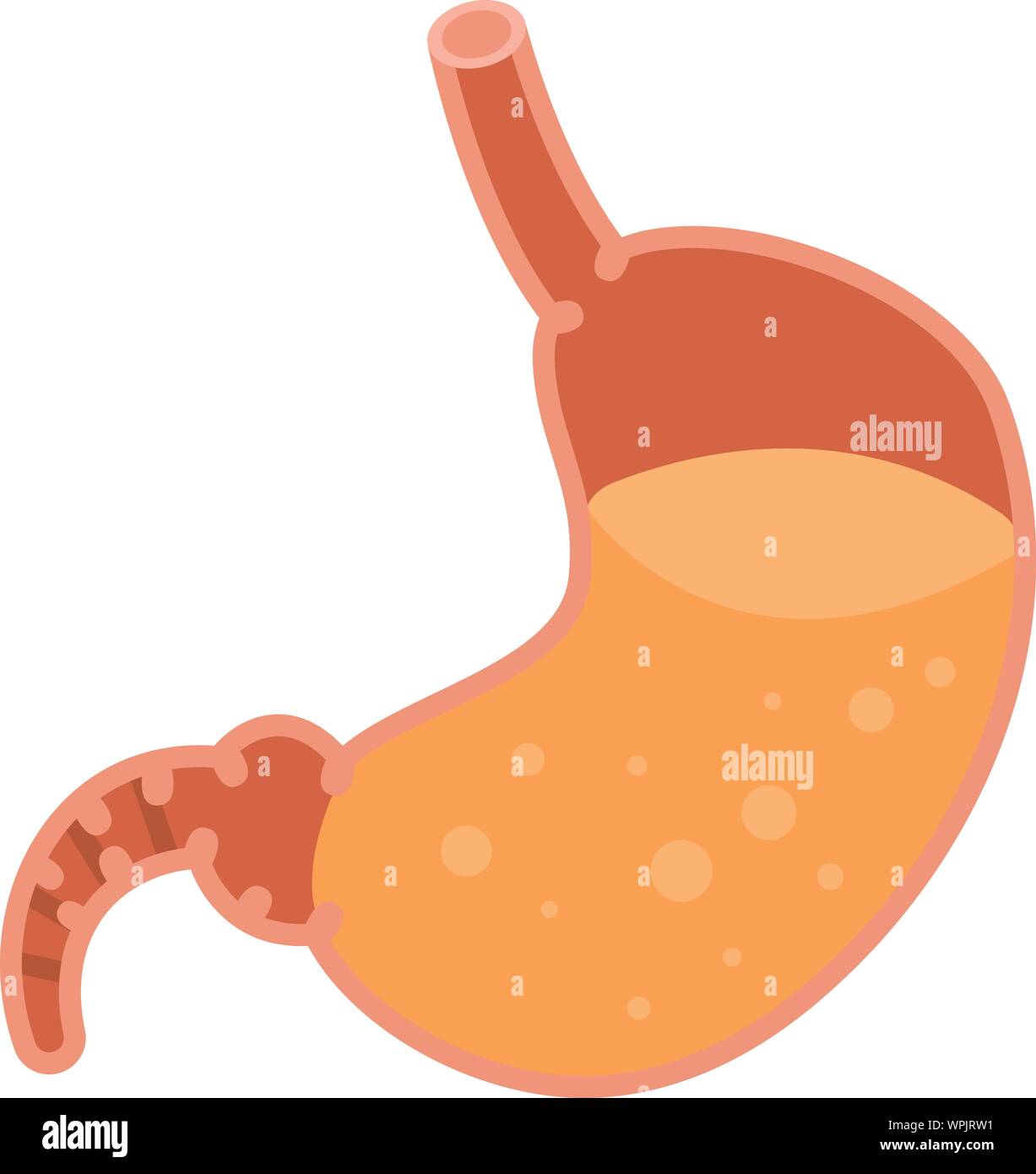 Full stomach icon, isometric style Stock Vector Image & Art - Alamy