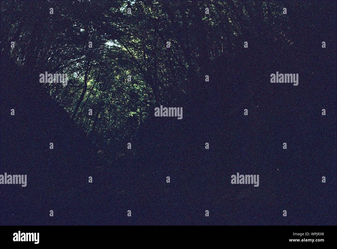 Dark trees and mountains hi-res stock photography and images - Alamy