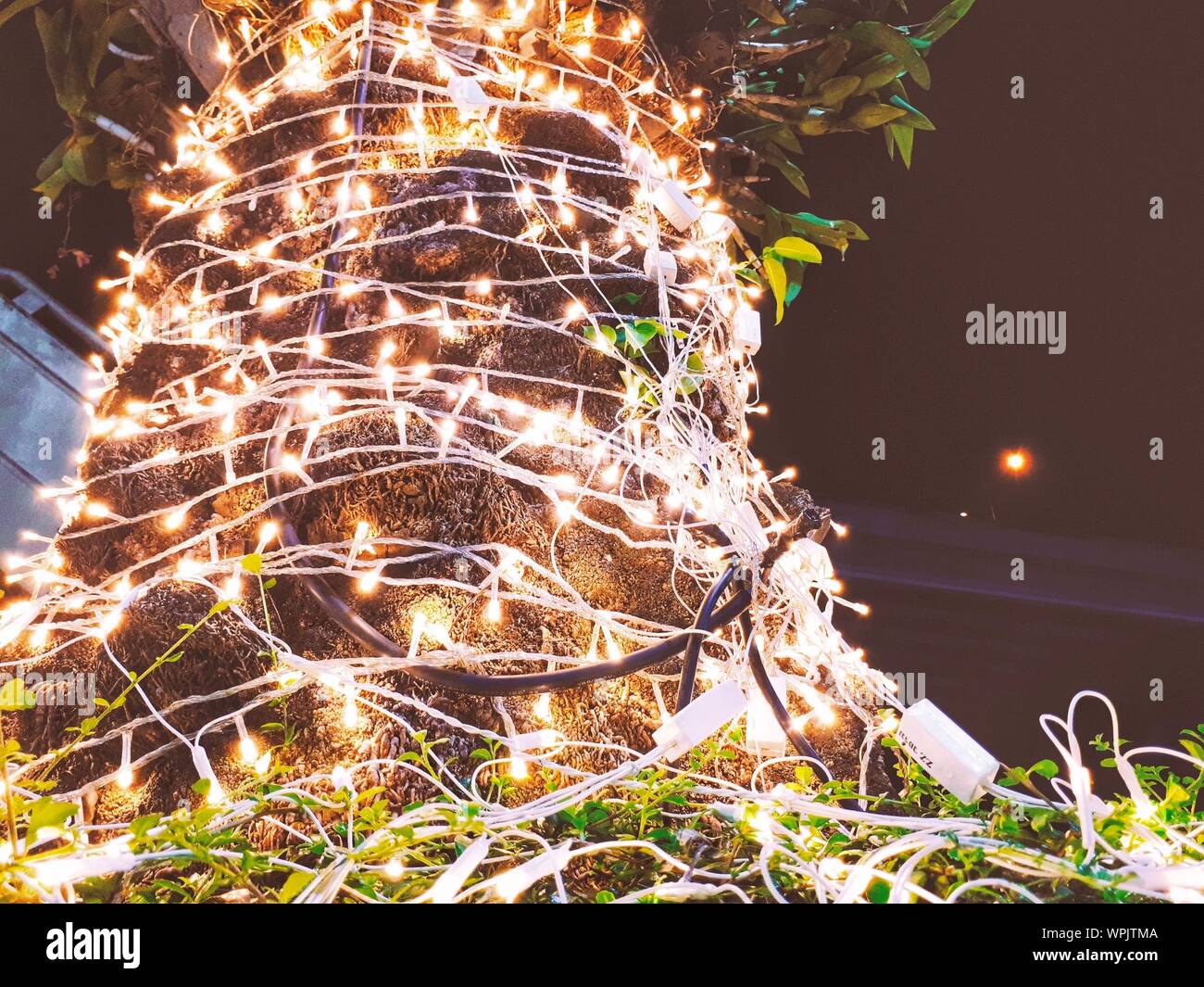 Blurred motion illuminated christmas tree hi-res stock photography and ...