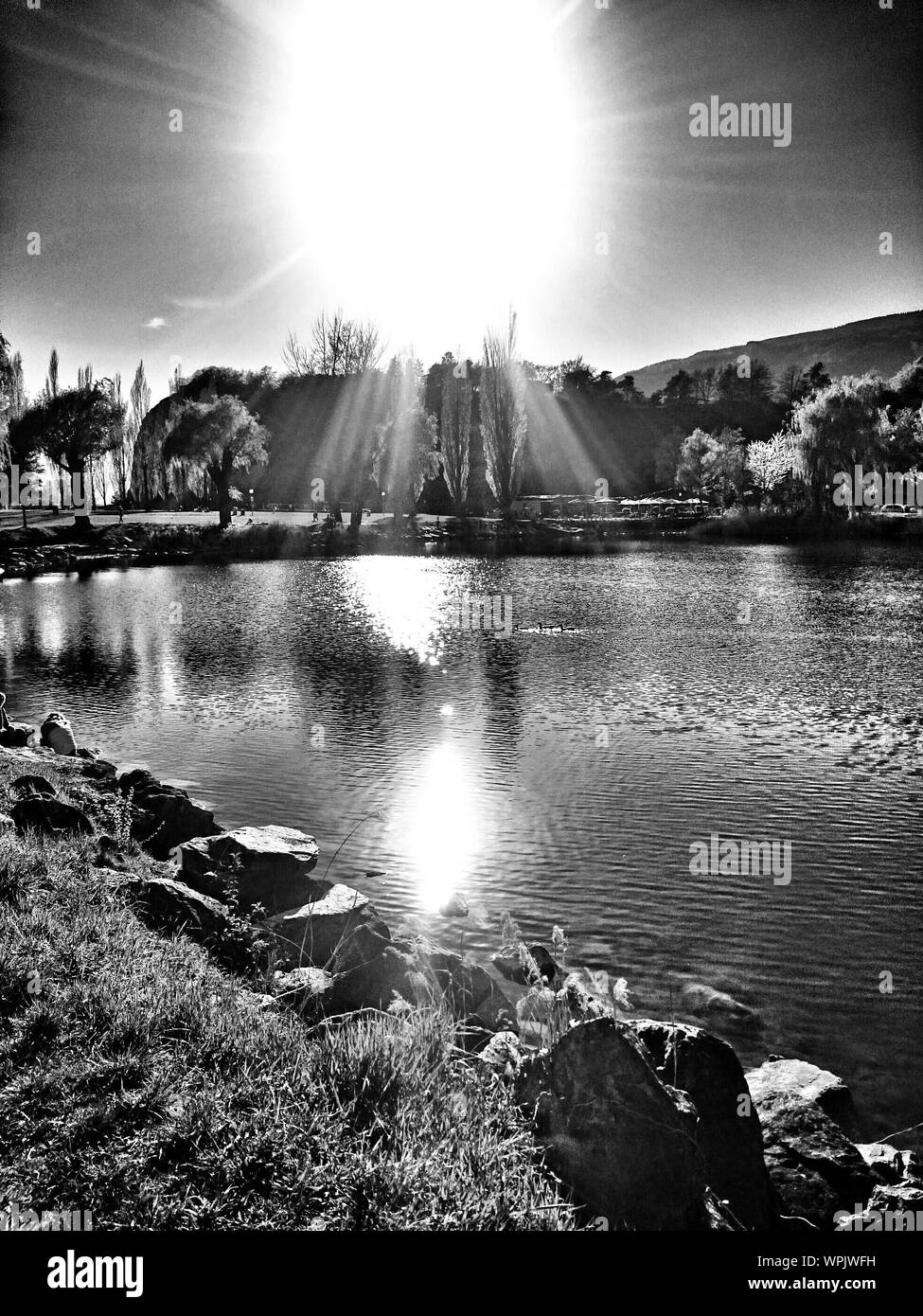 Strong sunlight hi-res stock photography and images - Alamy