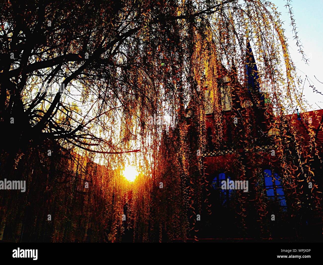 Willow Material High Resolution Stock Photography and Images - Alamy