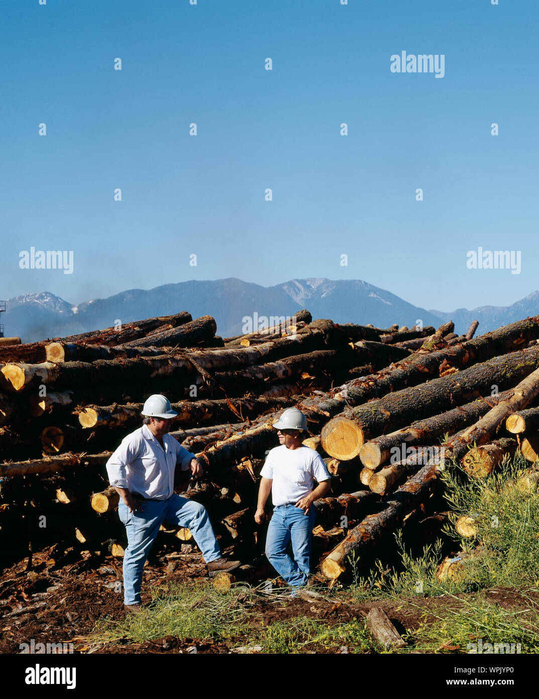 Loggers america hi-res stock photography and images - Alamy