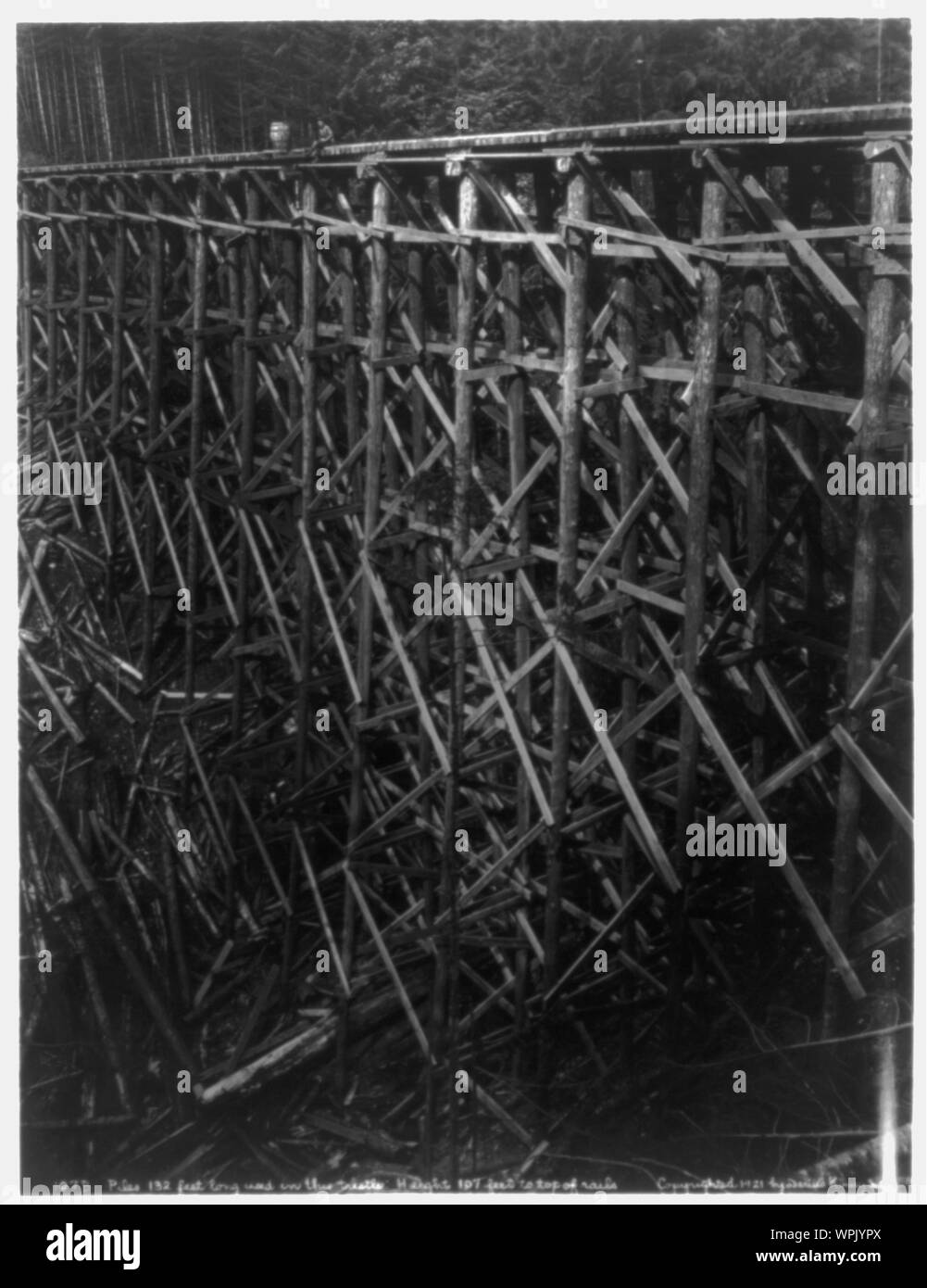 Logging in Cascade Mtns.: piles 132 feet long used in the trestle ...