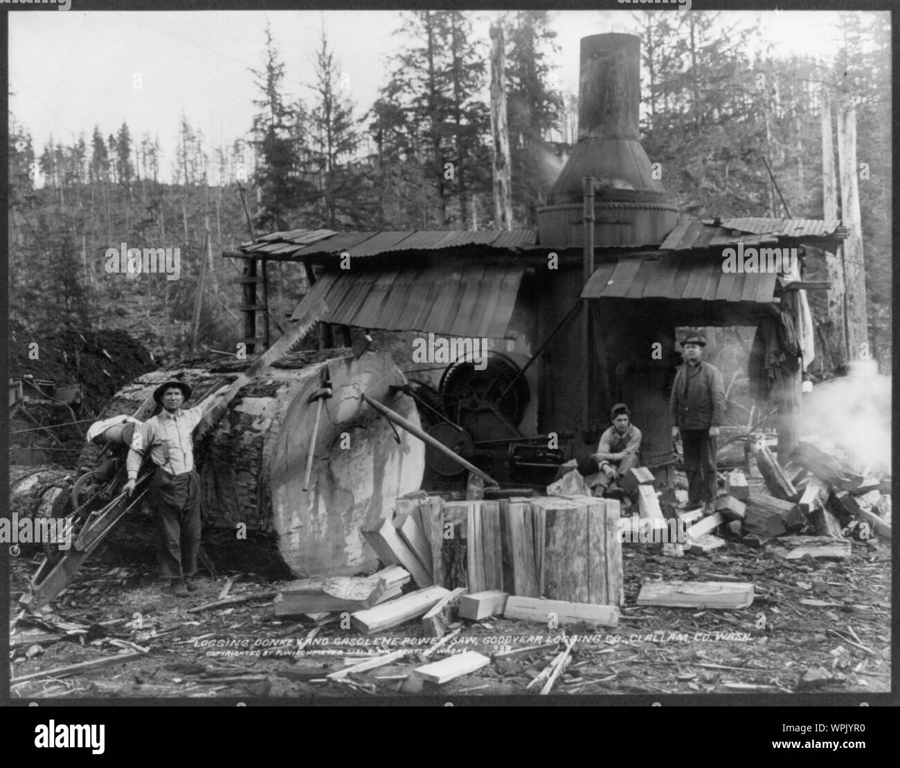Logging donkey hi-res stock photography and images - Alamy