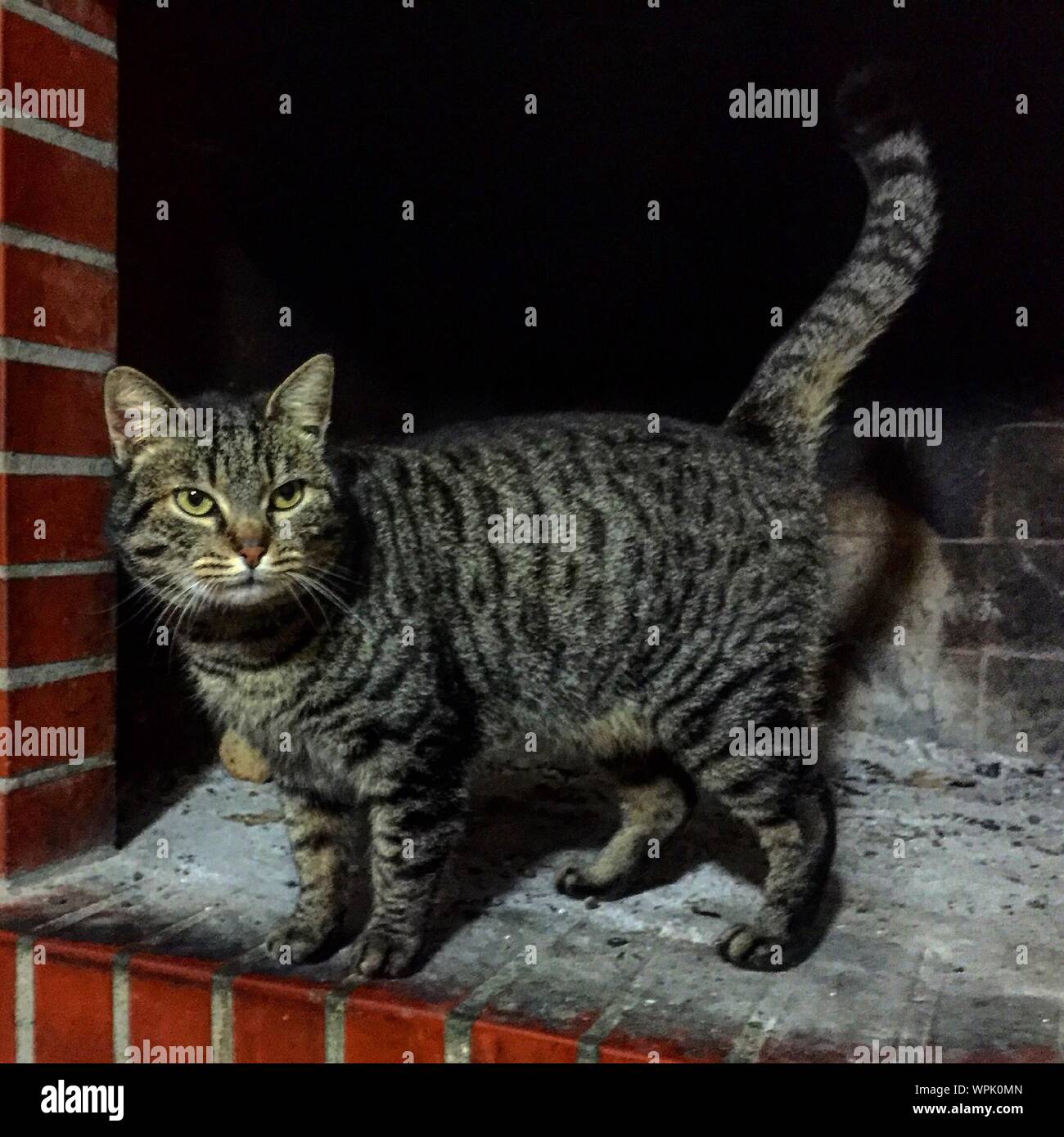 Fireplace home hi-res stock photography and images - Alamy