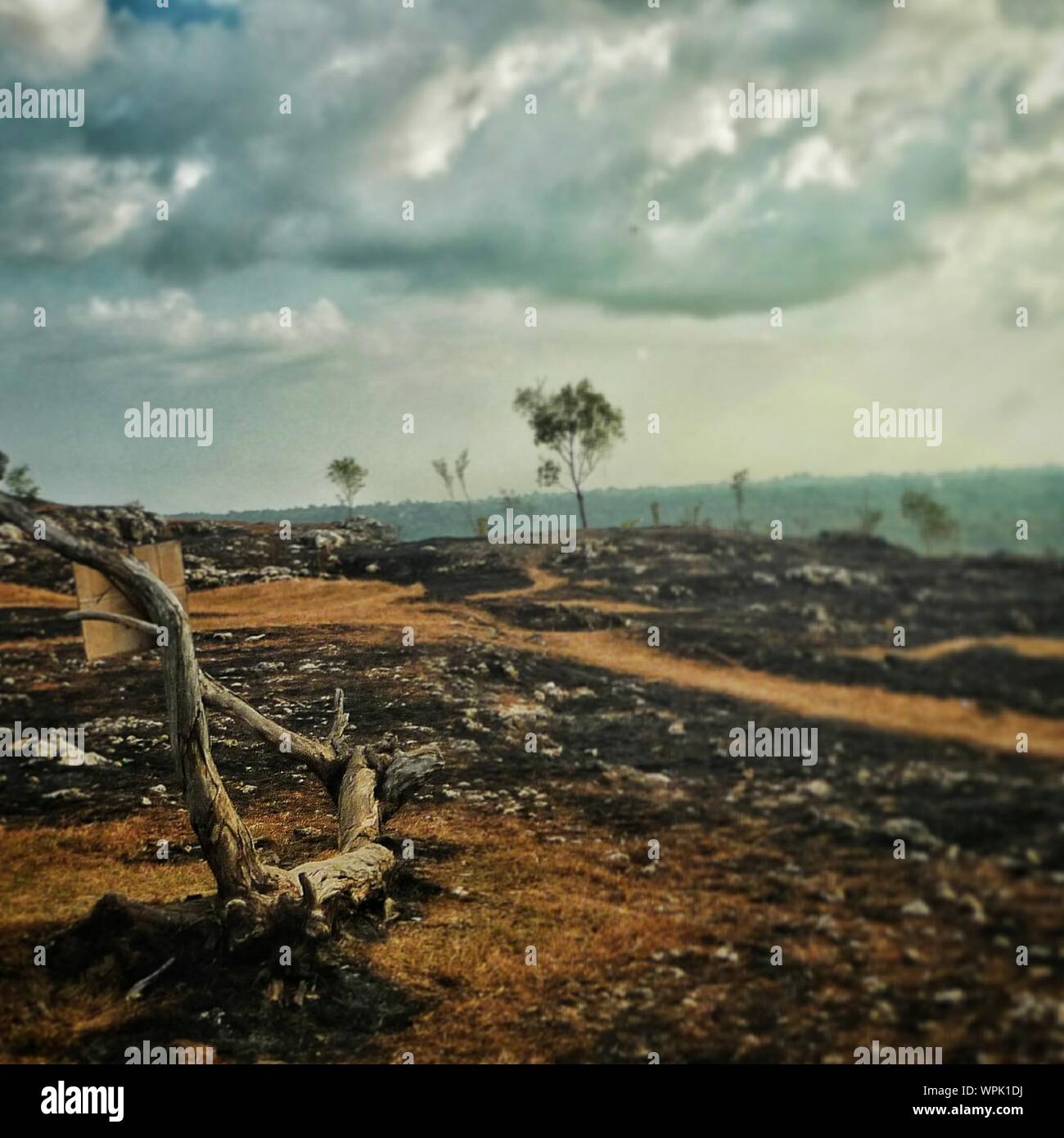 Burnt landscape hi-res stock photography and images - Alamy