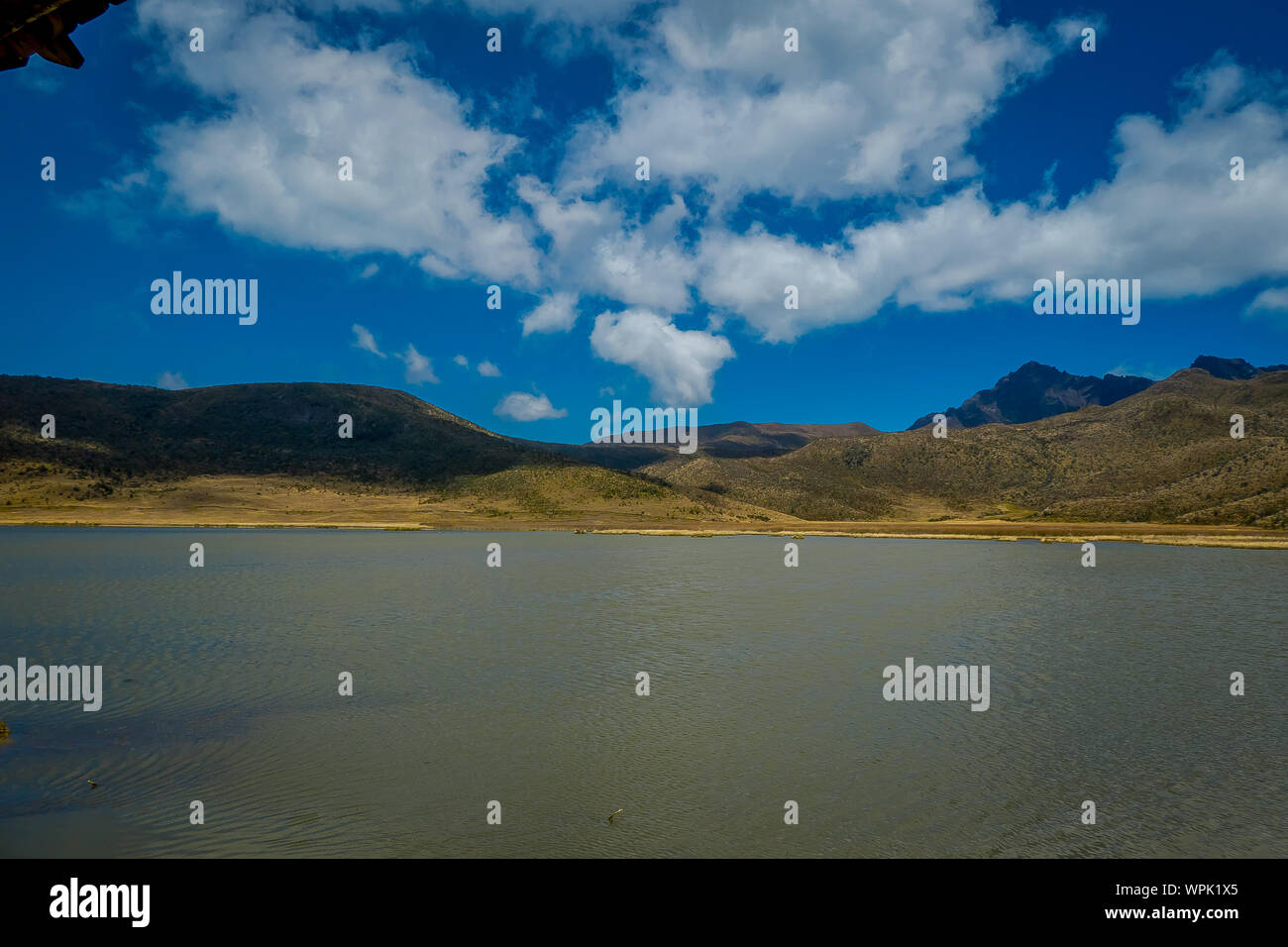 Shore of the lake Limpiopungo located in Cotopaxi national park ...
