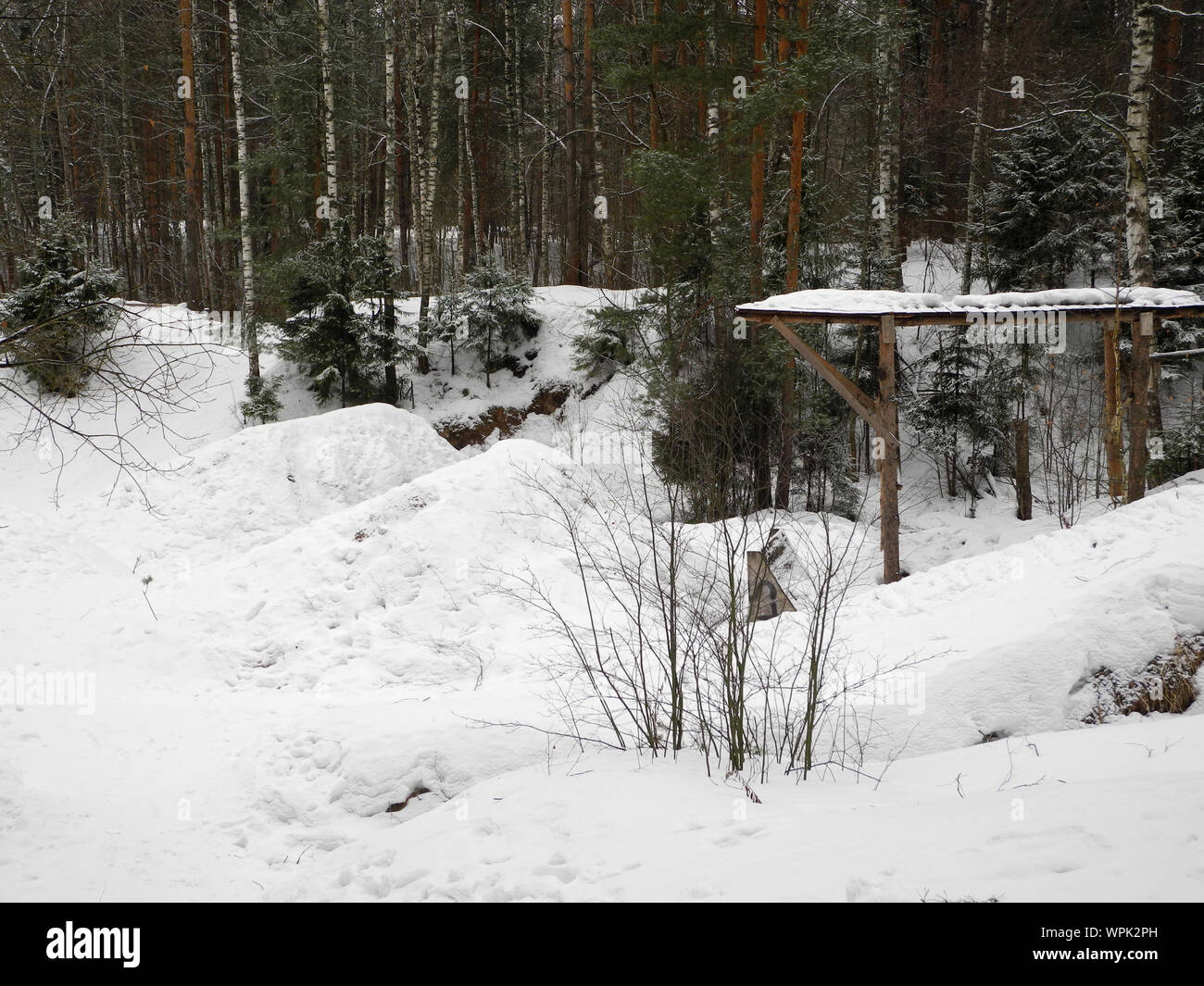Springboard in the forest for sports Stock Photo - Alamy