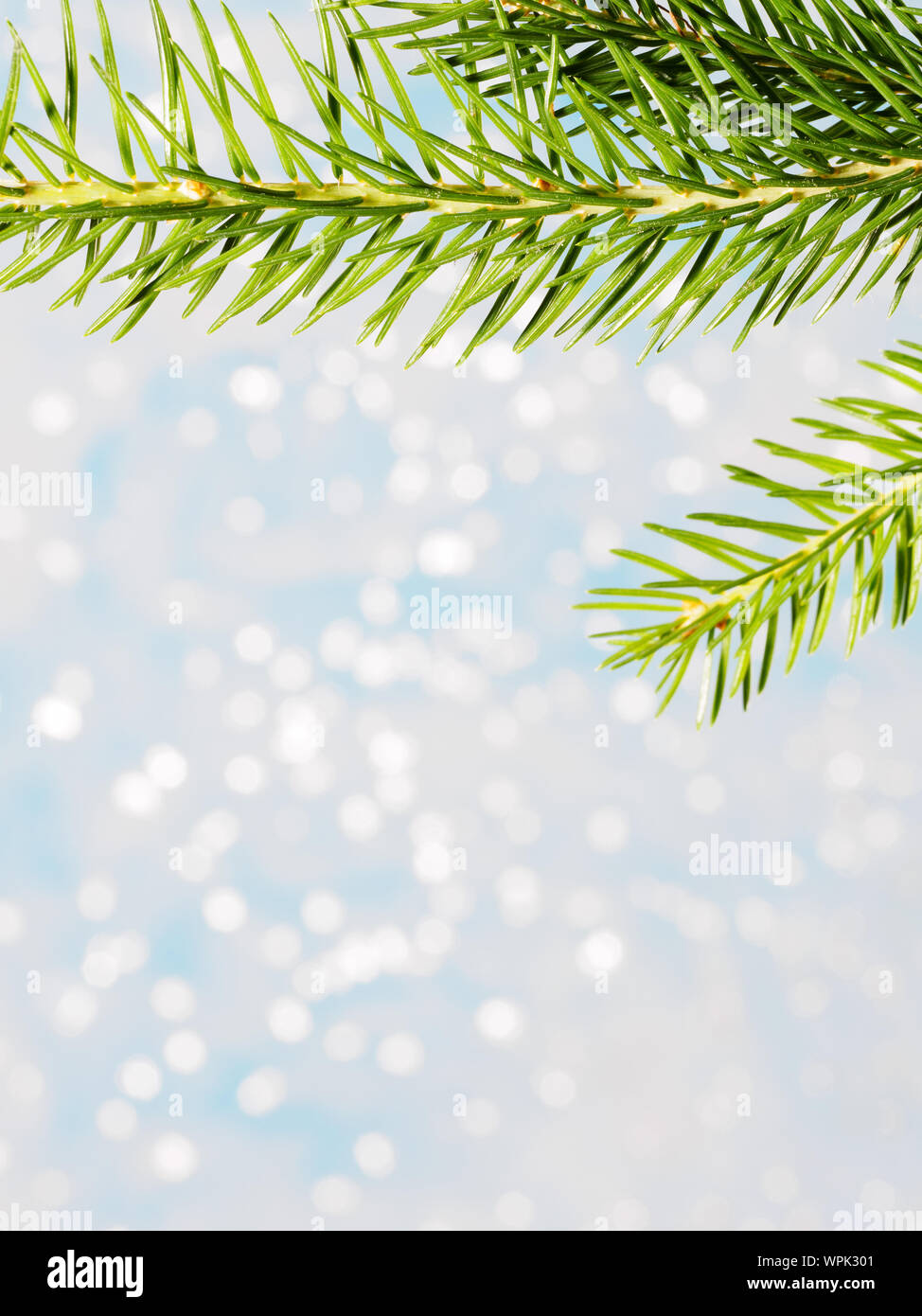 Decorate tree branch snowflakes hi-res stock photography and images - Alamy