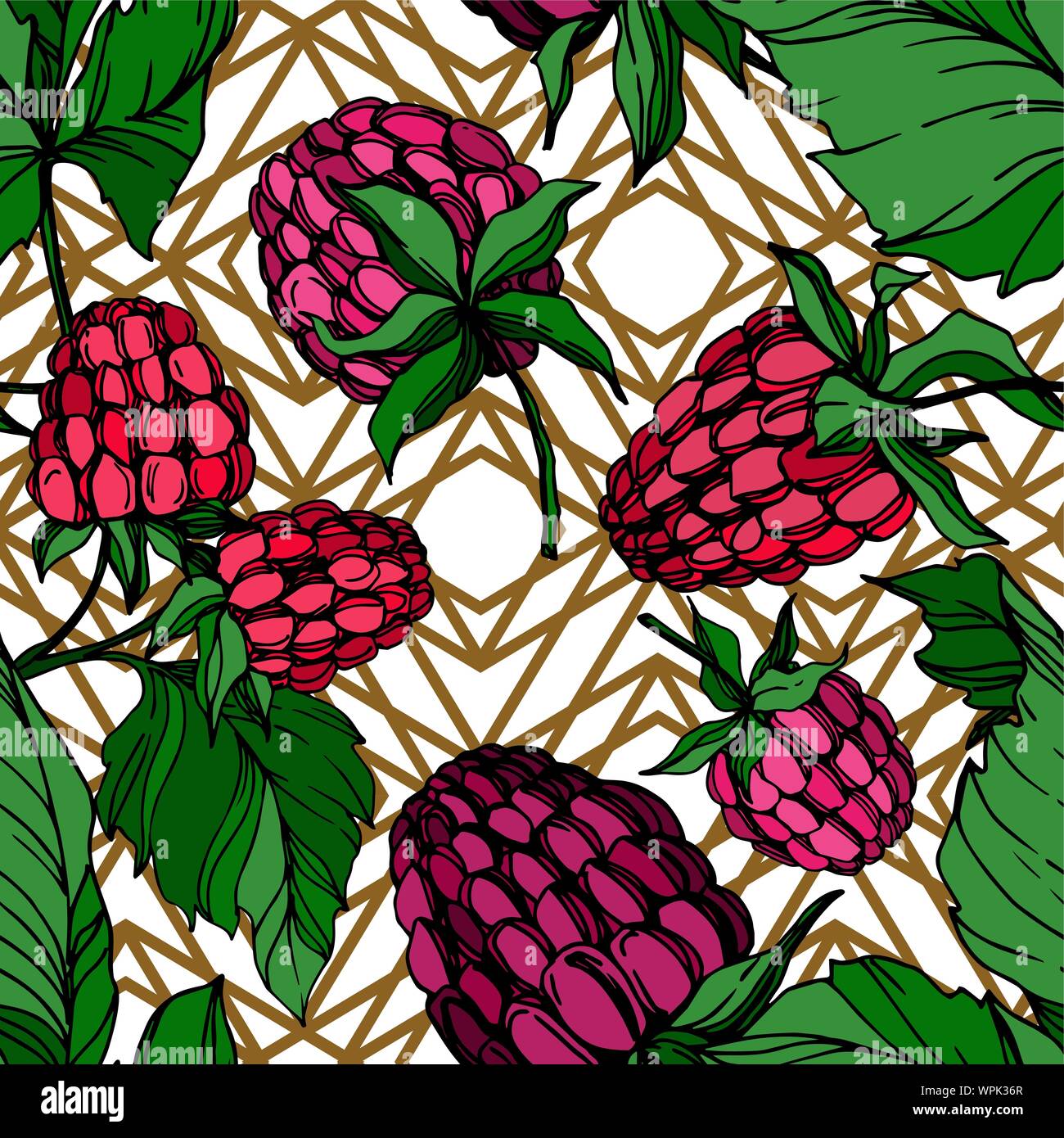 Vector Raspberry healthy food isolated. Black and white engraved ink ...