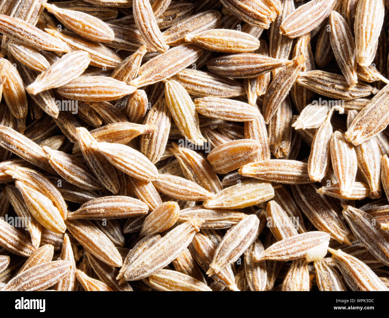 Cumin seeds (Cuminum), Jeera on a macro photo Stock Photo - Alamy