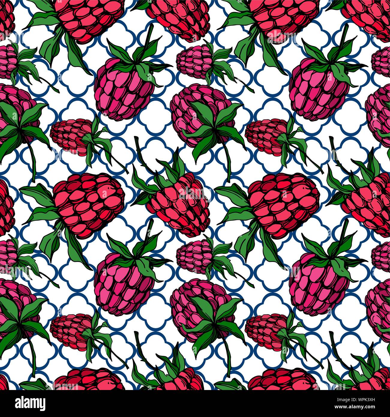 Vector Raspberry healthy food isolated. Black and white engraved ink ...