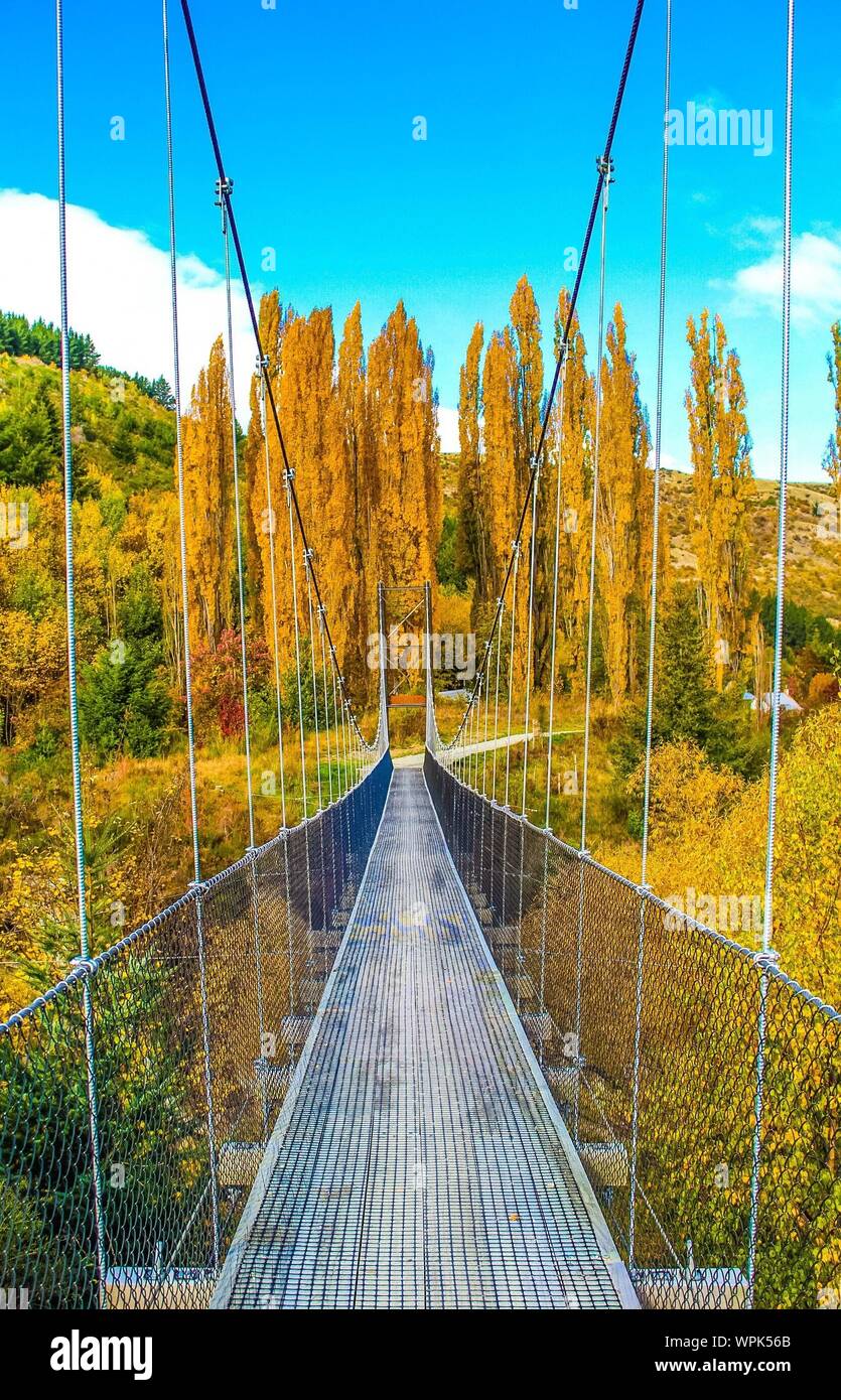 Suspension bridge forest hi-res stock photography and images - Alamy