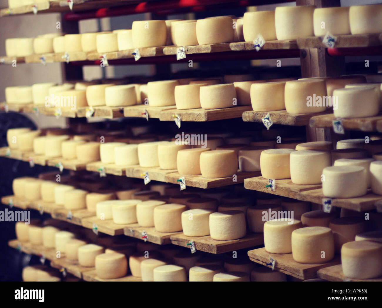 Large group of cheeses hi-res stock photography and images - Alamy