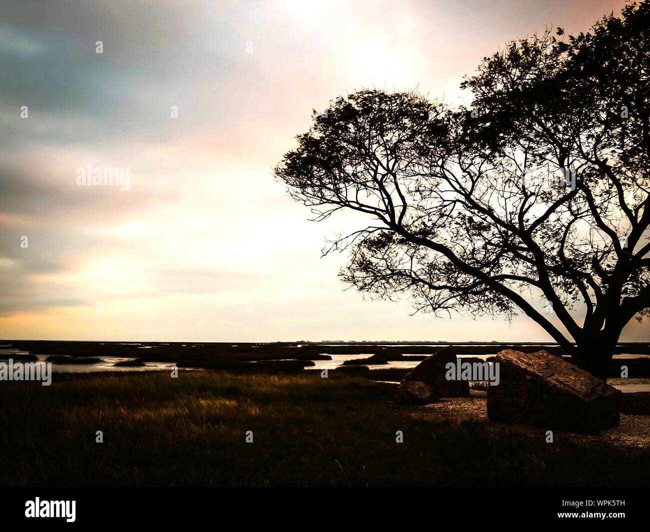 Swamp Sunset High Resolution Stock Photography and Images - Alamy