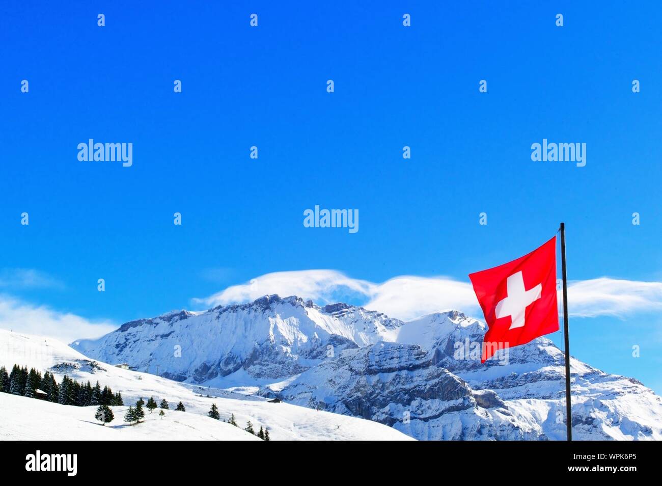 Swiss flag swiss flag hi-res stock photography and images - Alamy