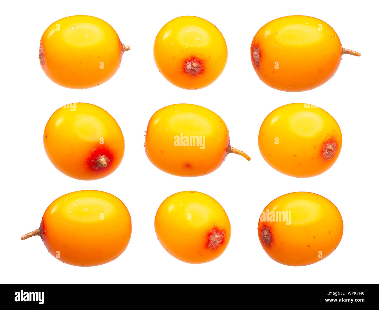 Hippophae rhamnoides Cut Out Stock Images & Pictures - Alamy