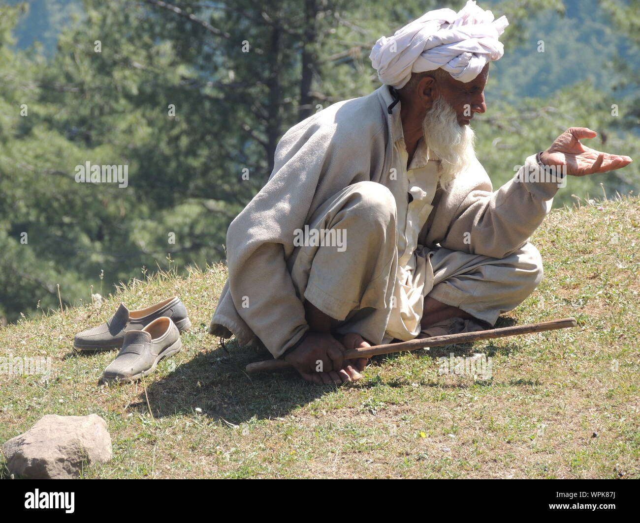 Grass stick hi-res stock photography and images - Alamy