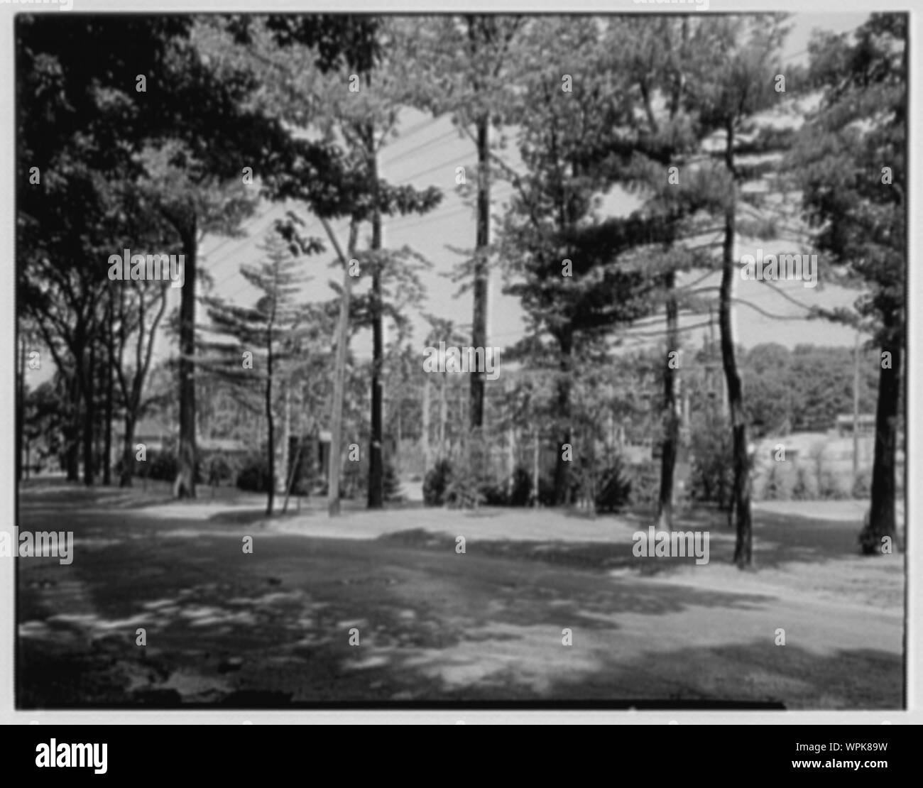 Public electric light Black and White Stock Photos & Images - Alamy