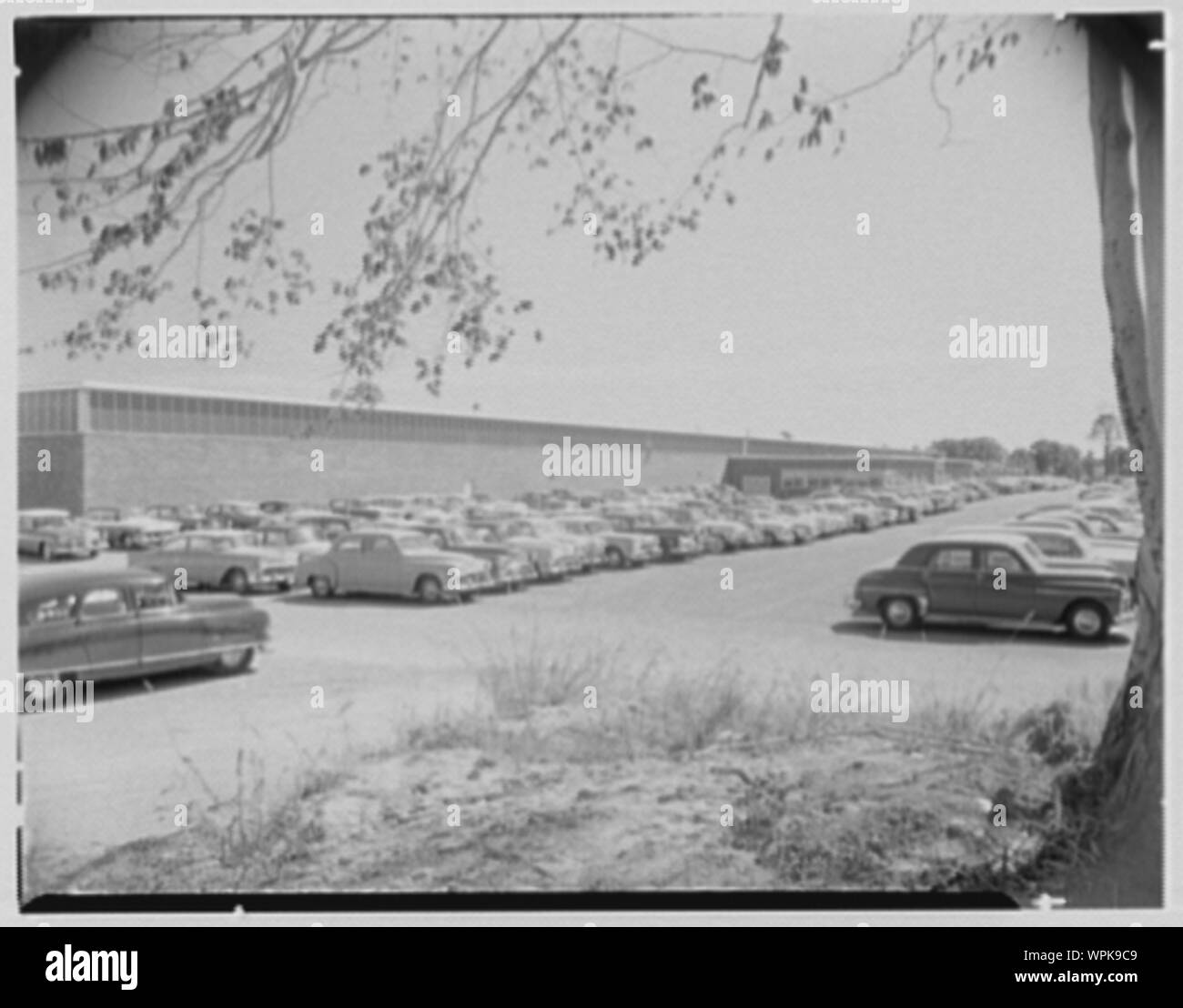 New york lighting company Black and White Stock Photos & Images - Alamy