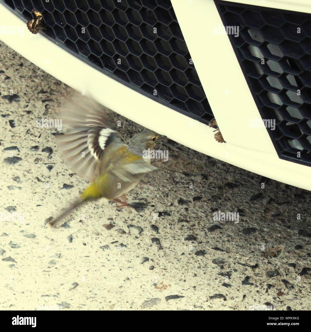 Flying car hi-res stock photography and images - Alamy