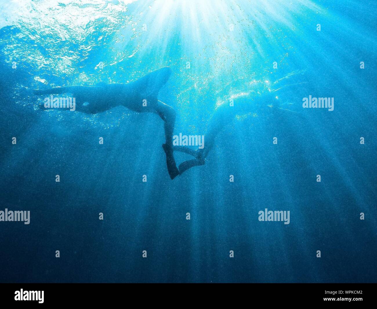 Two girls swimming hi-res stock photography and images - Alamy