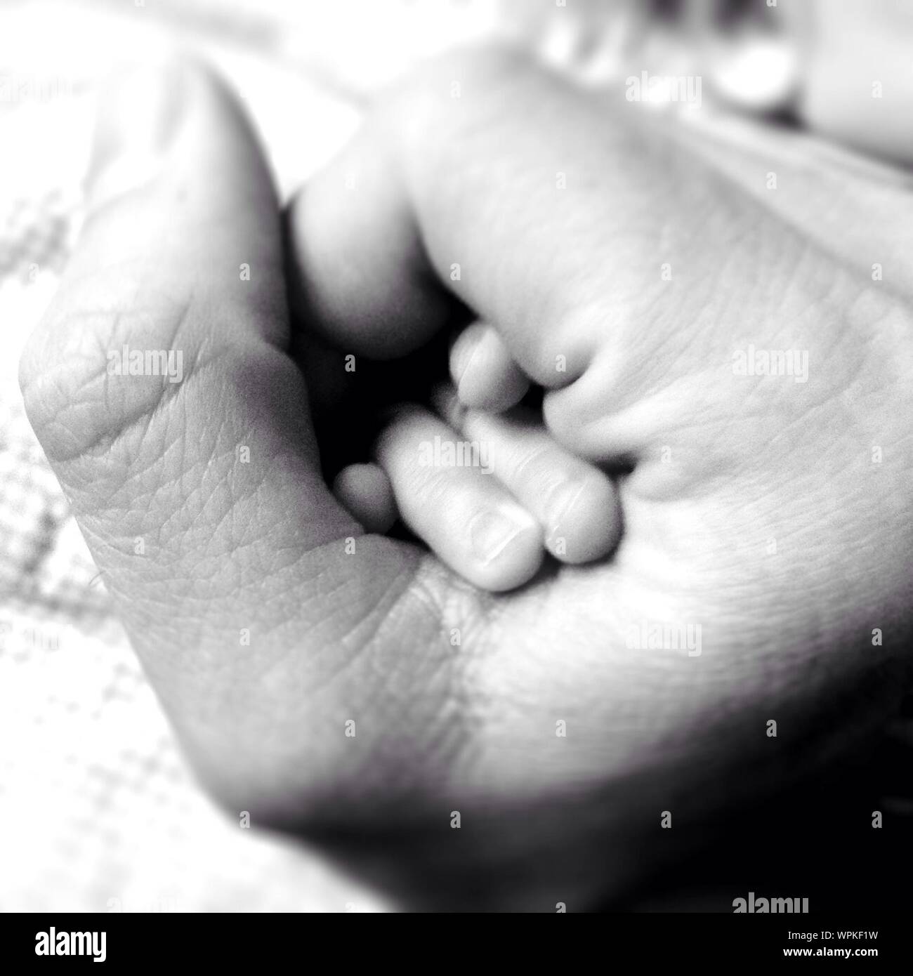 Baby and adult hands hi-res stock photography and images - Alamy