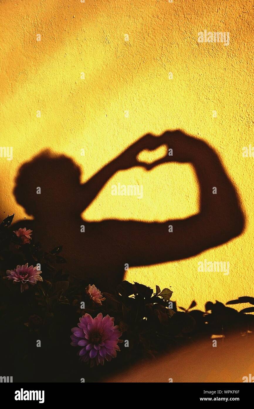 Shadow Of Person Making Heart Shape With Hand On Wall Stock Photo - Alamy