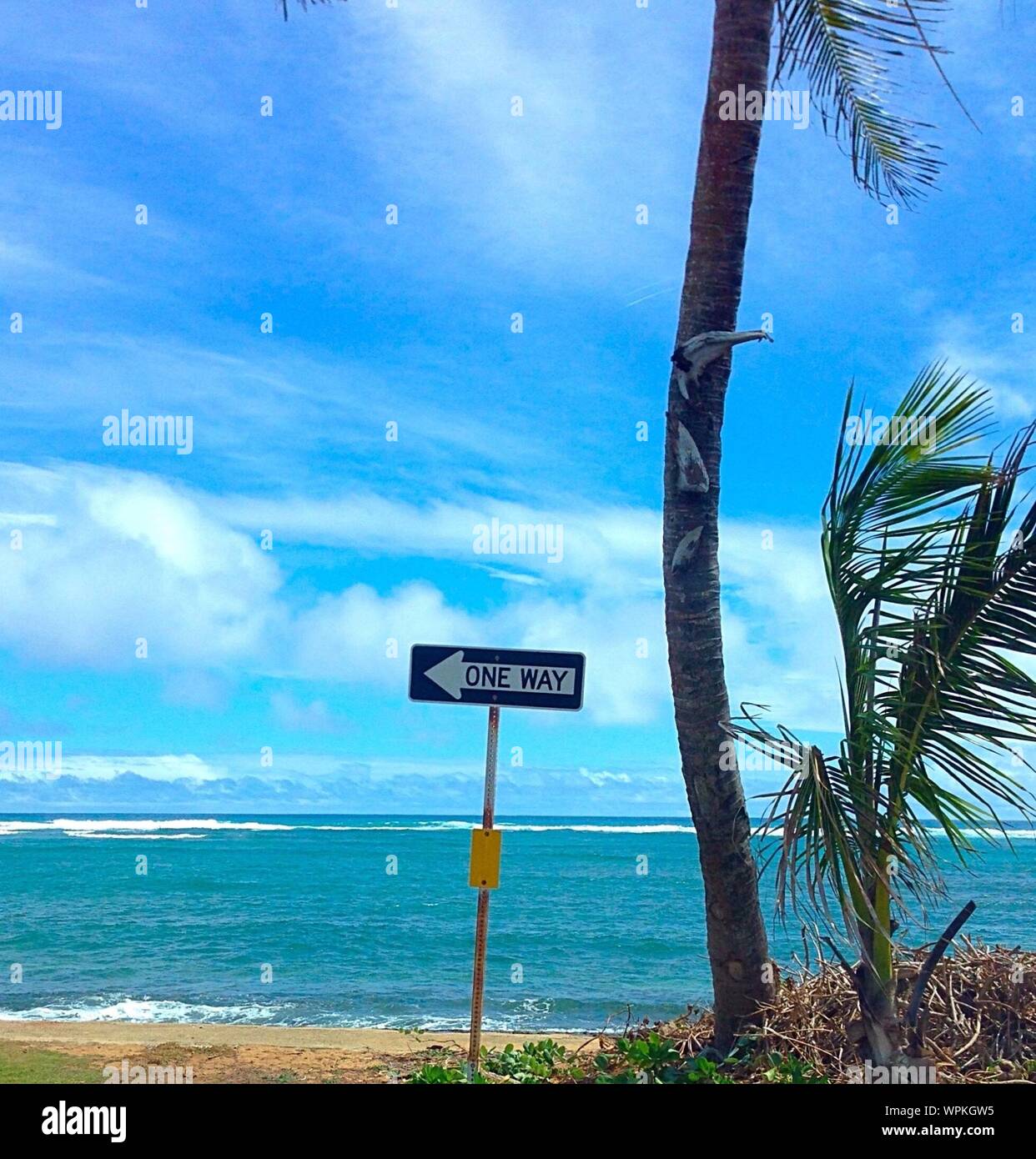 Directional tree sign hi-res stock photography and images - Alamy