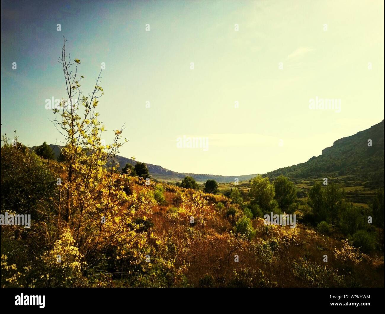 The sky and the valley hi-res stock photography and images - Alamy