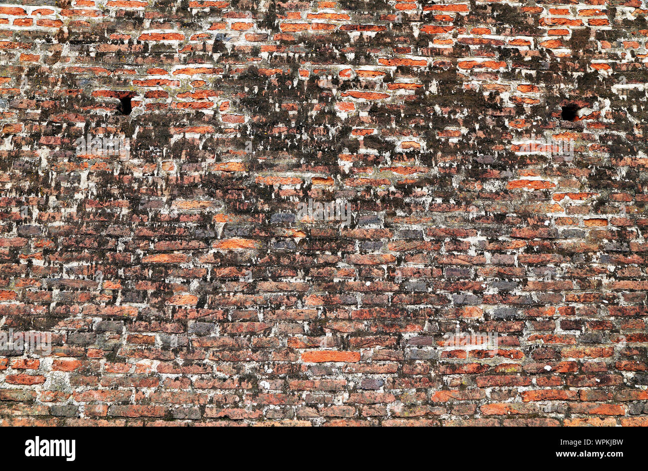 Run down wall hi-res stock photography and images - Alamy