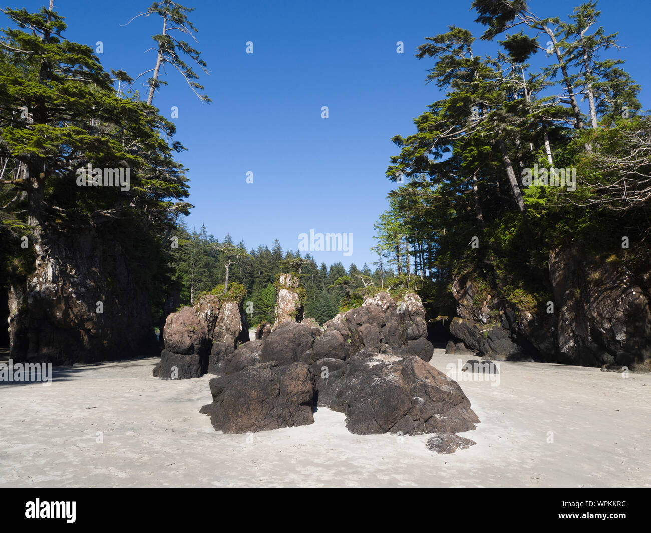 Sea stacks at San Josef Beach, Vancouver Island, British Columbia ...