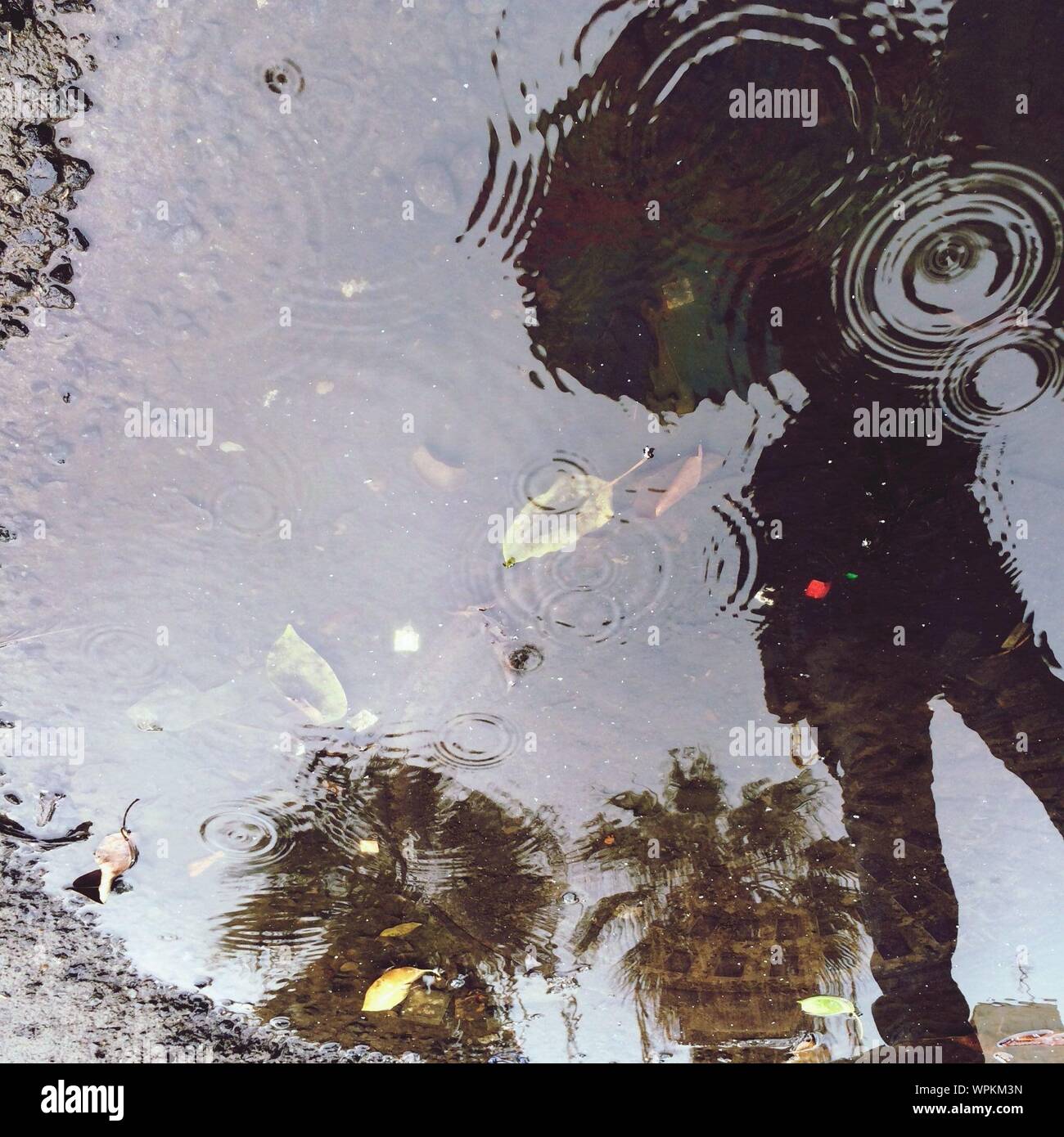 Man rain puddle hi-res stock photography and images - Alamy