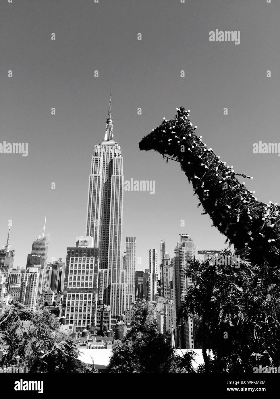 Giraffe tower hi-res stock photography and images - Alamy