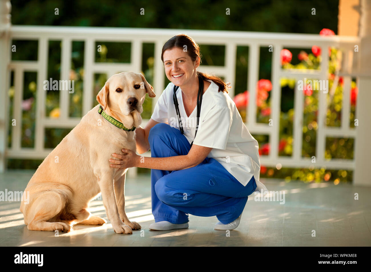 Young female nurse playing with a dog on the verandah of someone's home ...