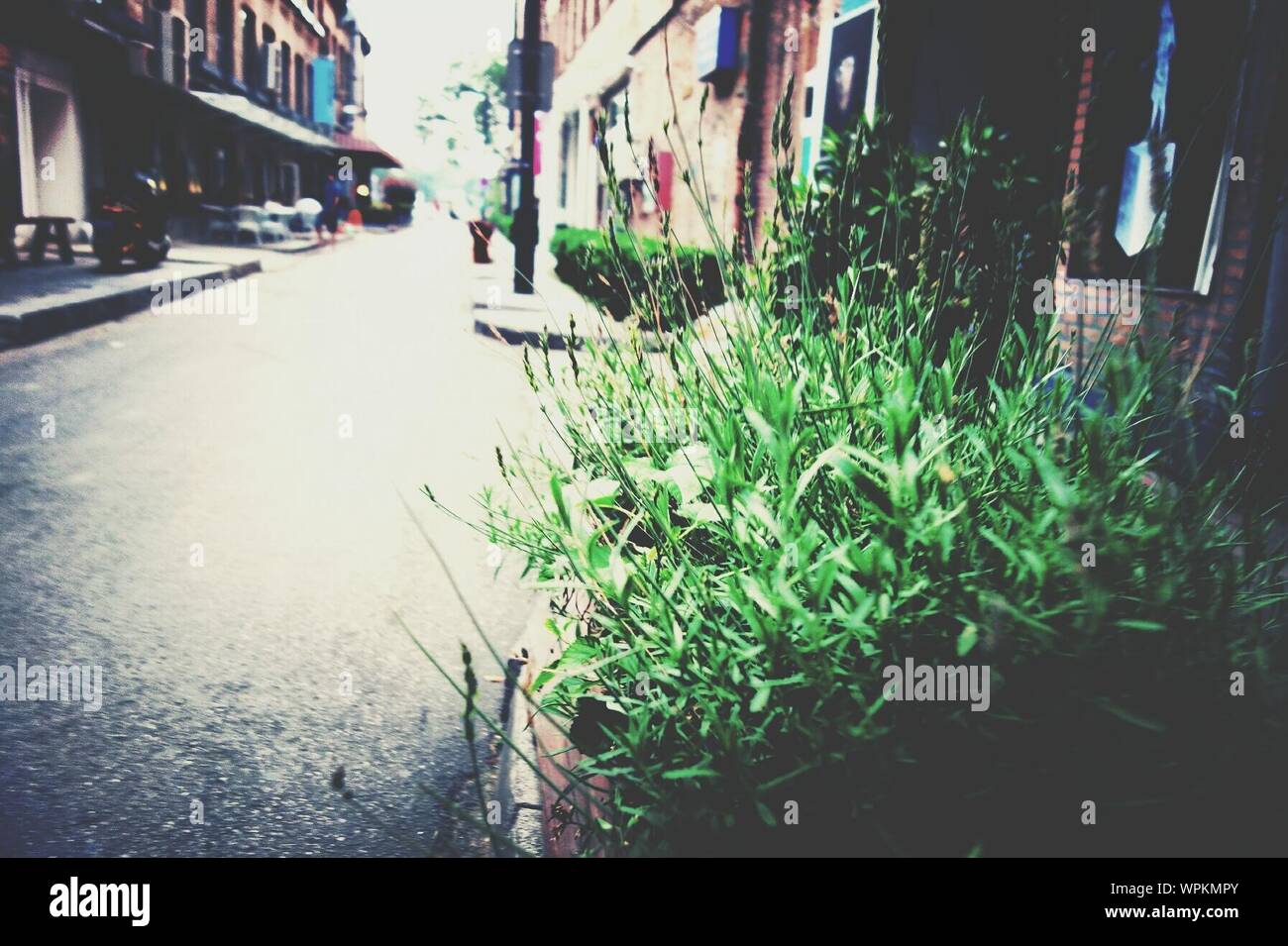 Roadside building buildings hi-res stock photography and images - Alamy