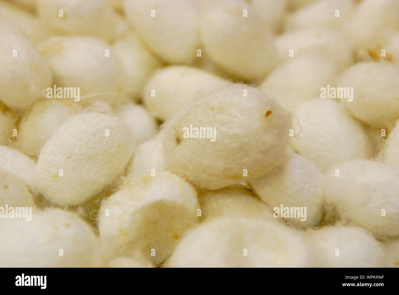 Soft and fluffy hi-res stock photography and images - Alamy