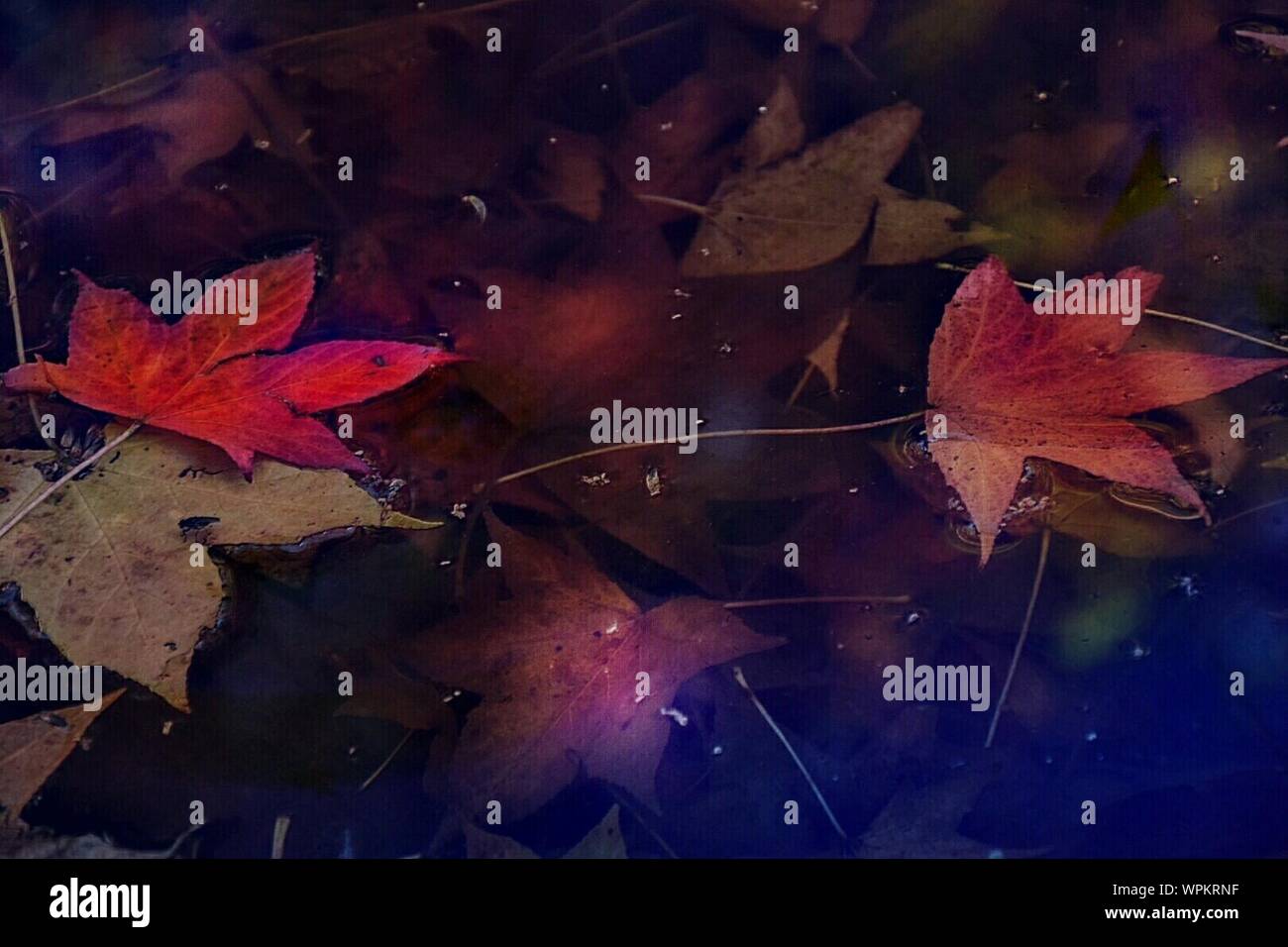 Floating dirt hi-res stock photography and images - Alamy