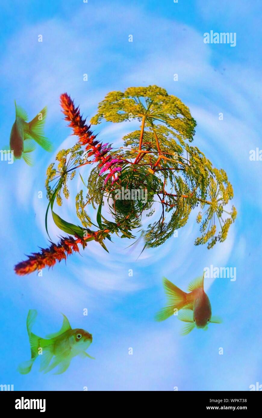 Planet of animals hi-res stock photography and images - Alamy