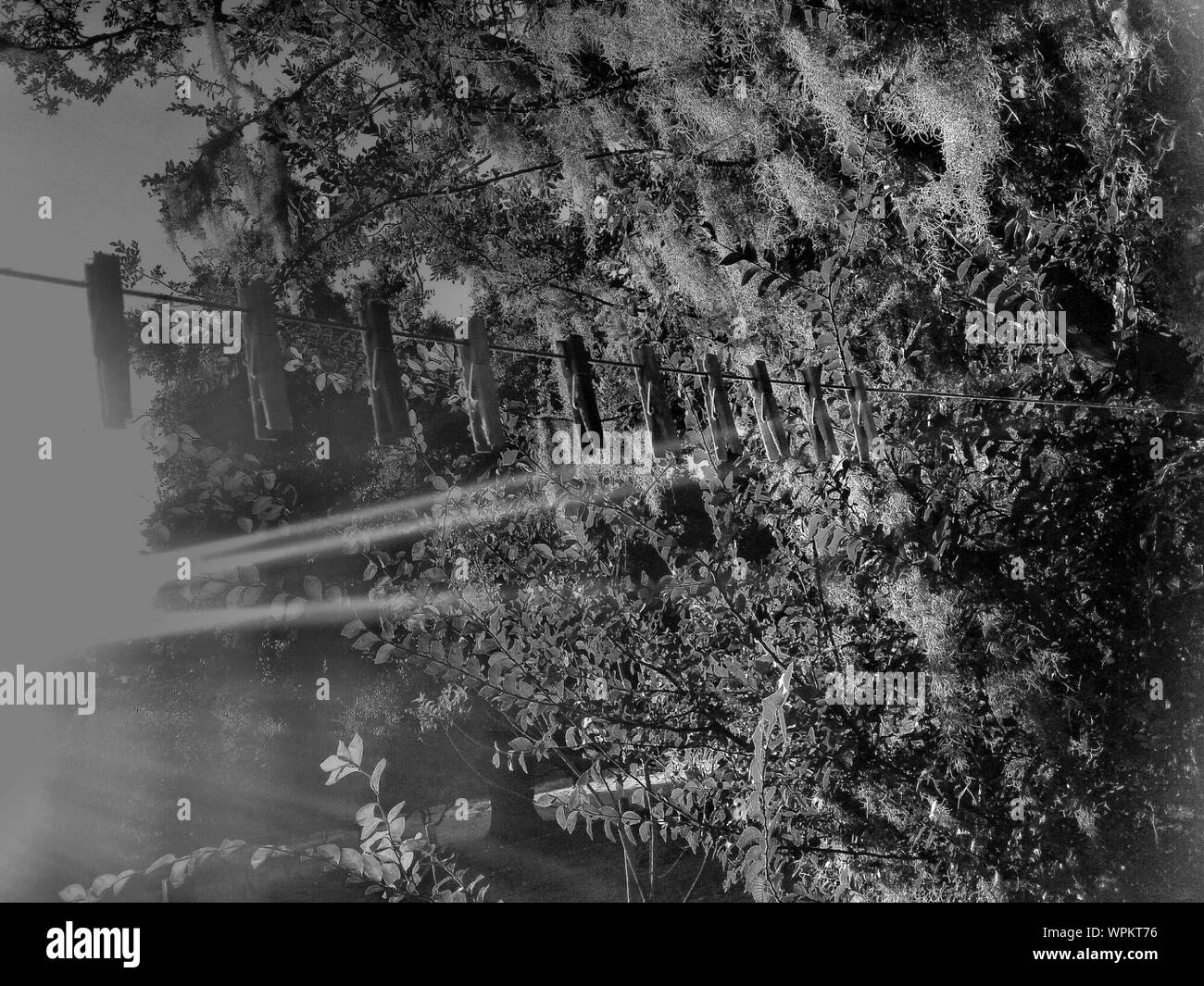 Sunbeam Black and White Stock Photos & Images - Alamy