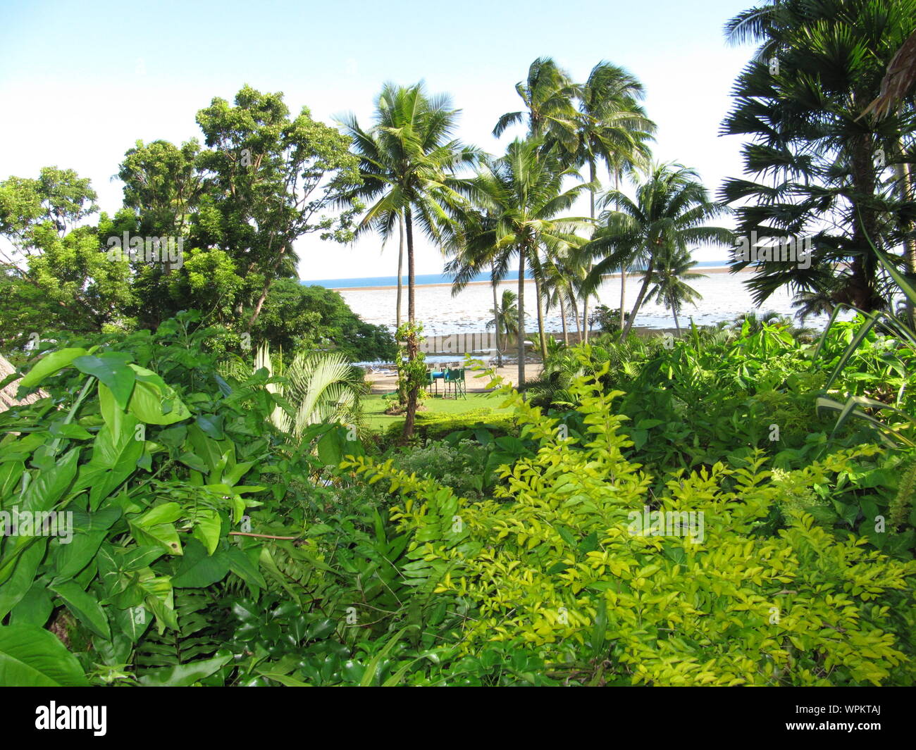 Indian jungle landscape hi-res stock photography and images - Alamy
