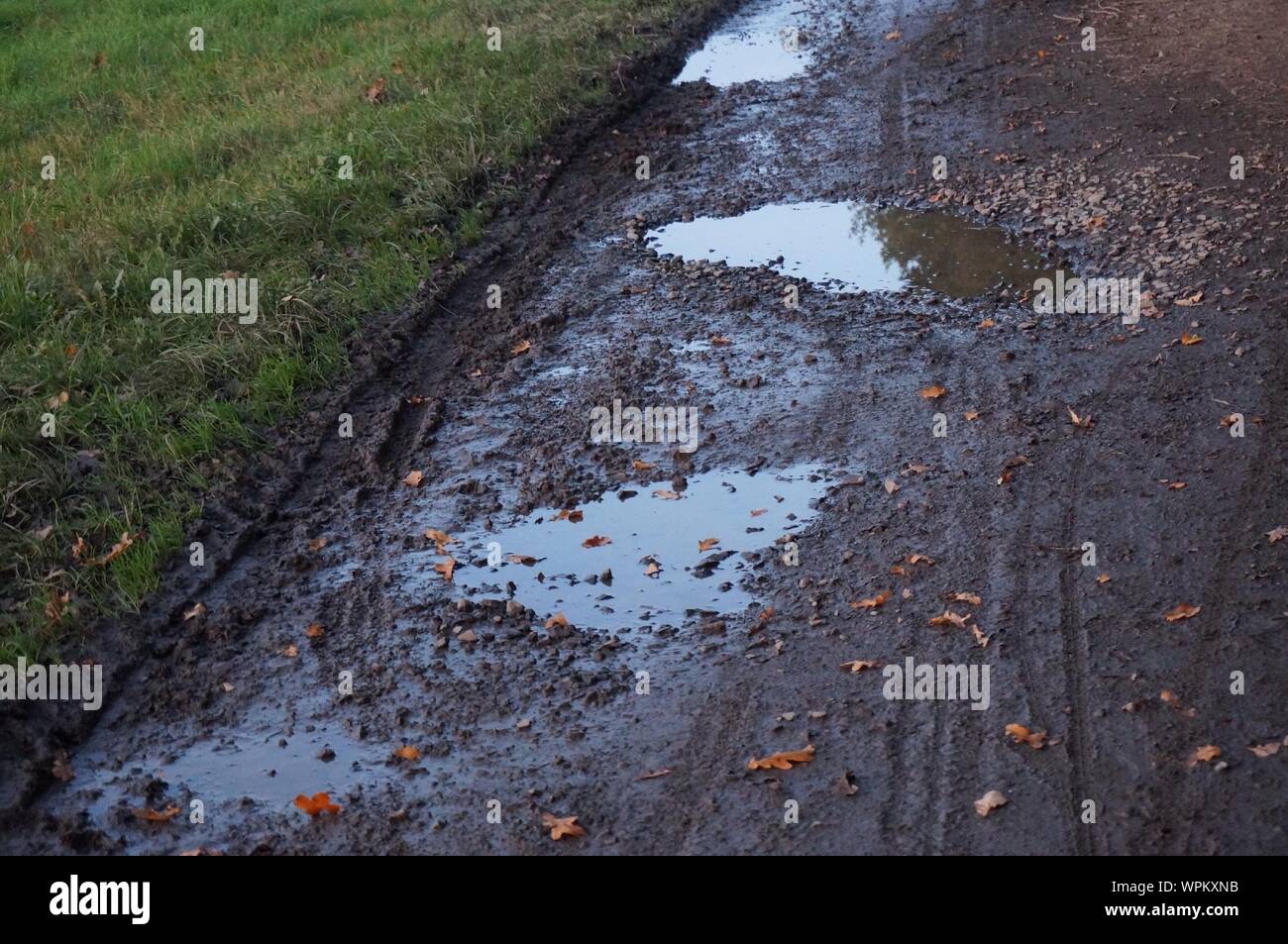 Road Puddles High Resolution Stock Photography and Images - Alamy