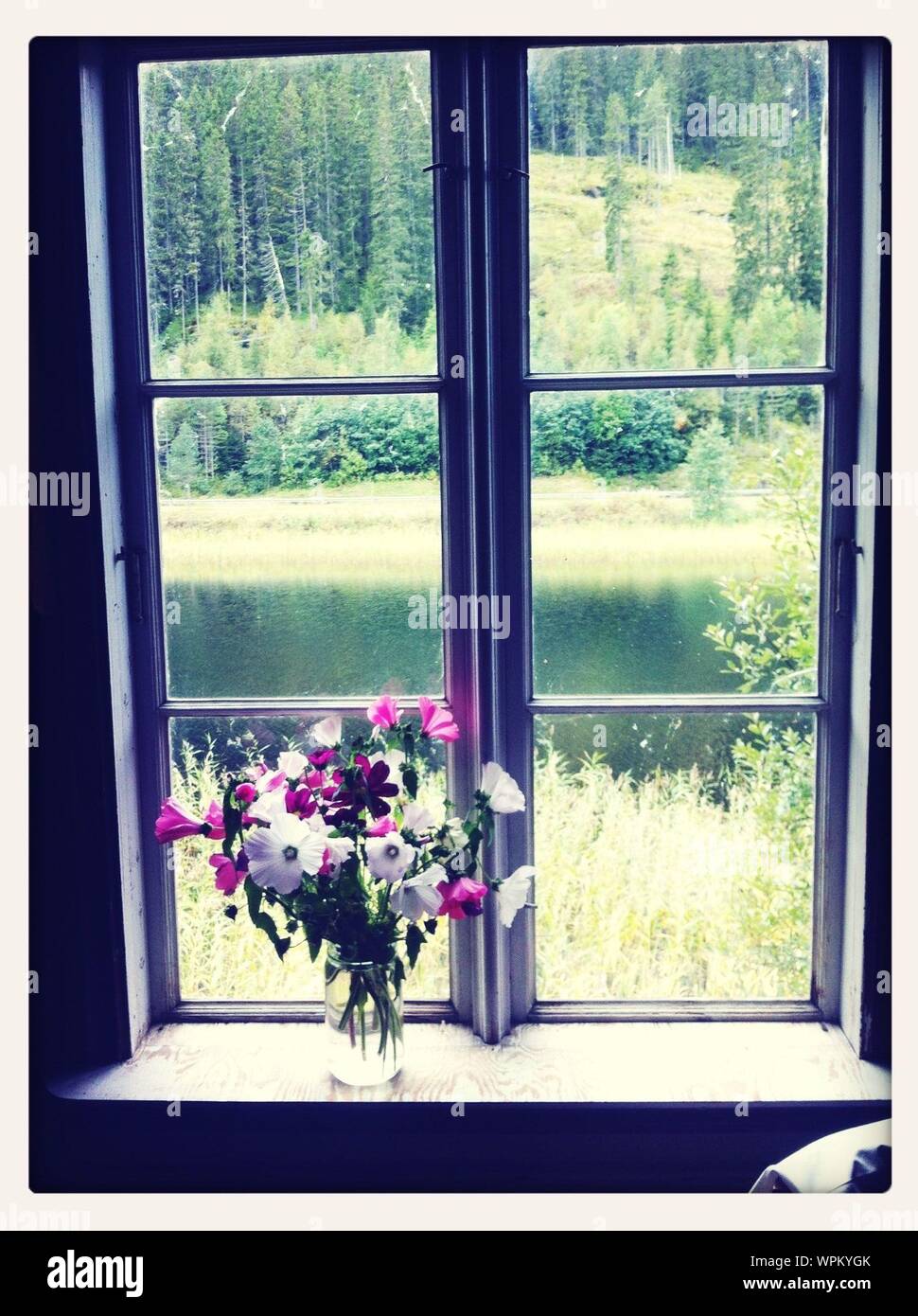 Safety vase hi-res stock photography and images - Alamy