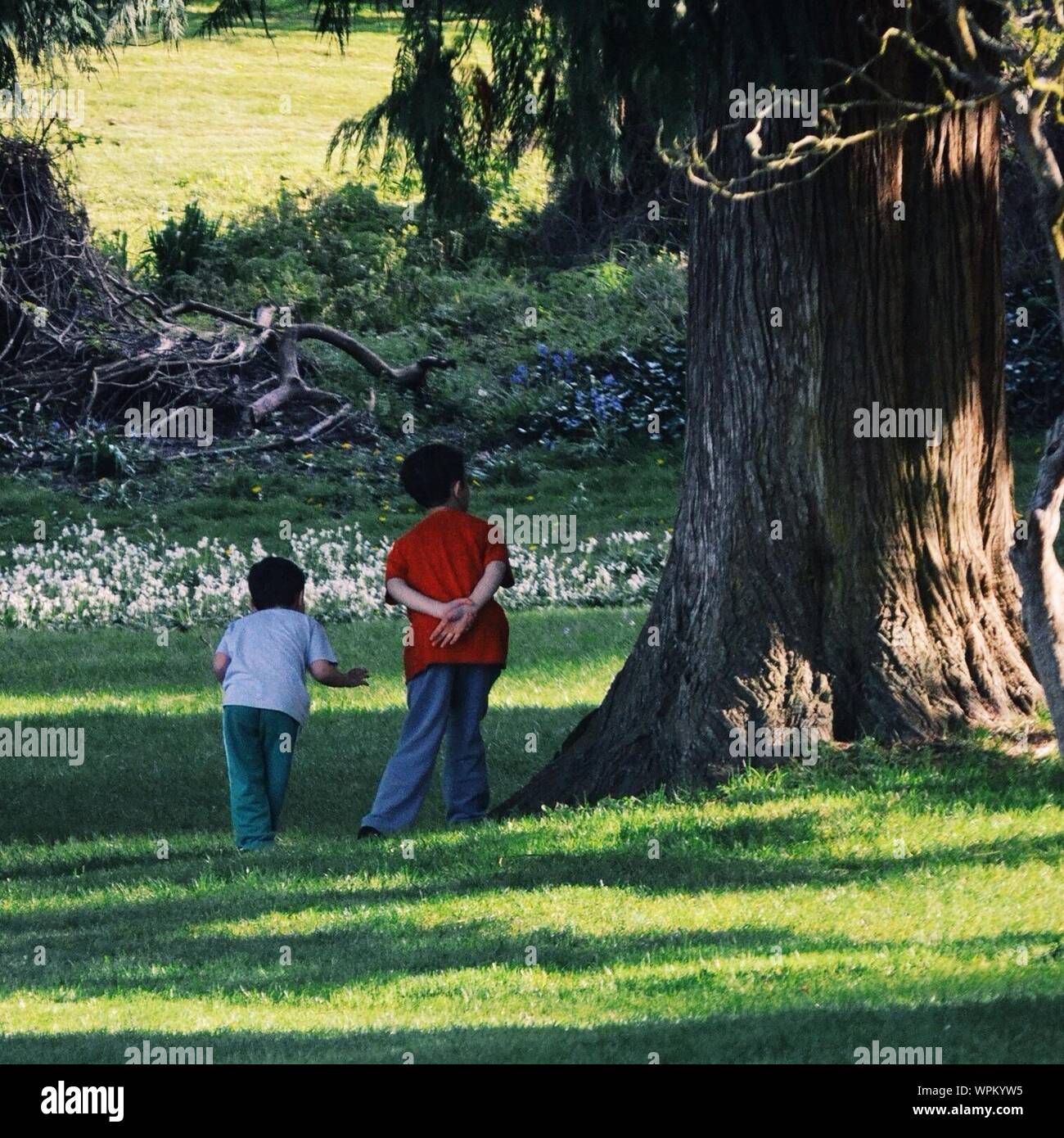 Boys behind hi-res stock photography and images - Alamy