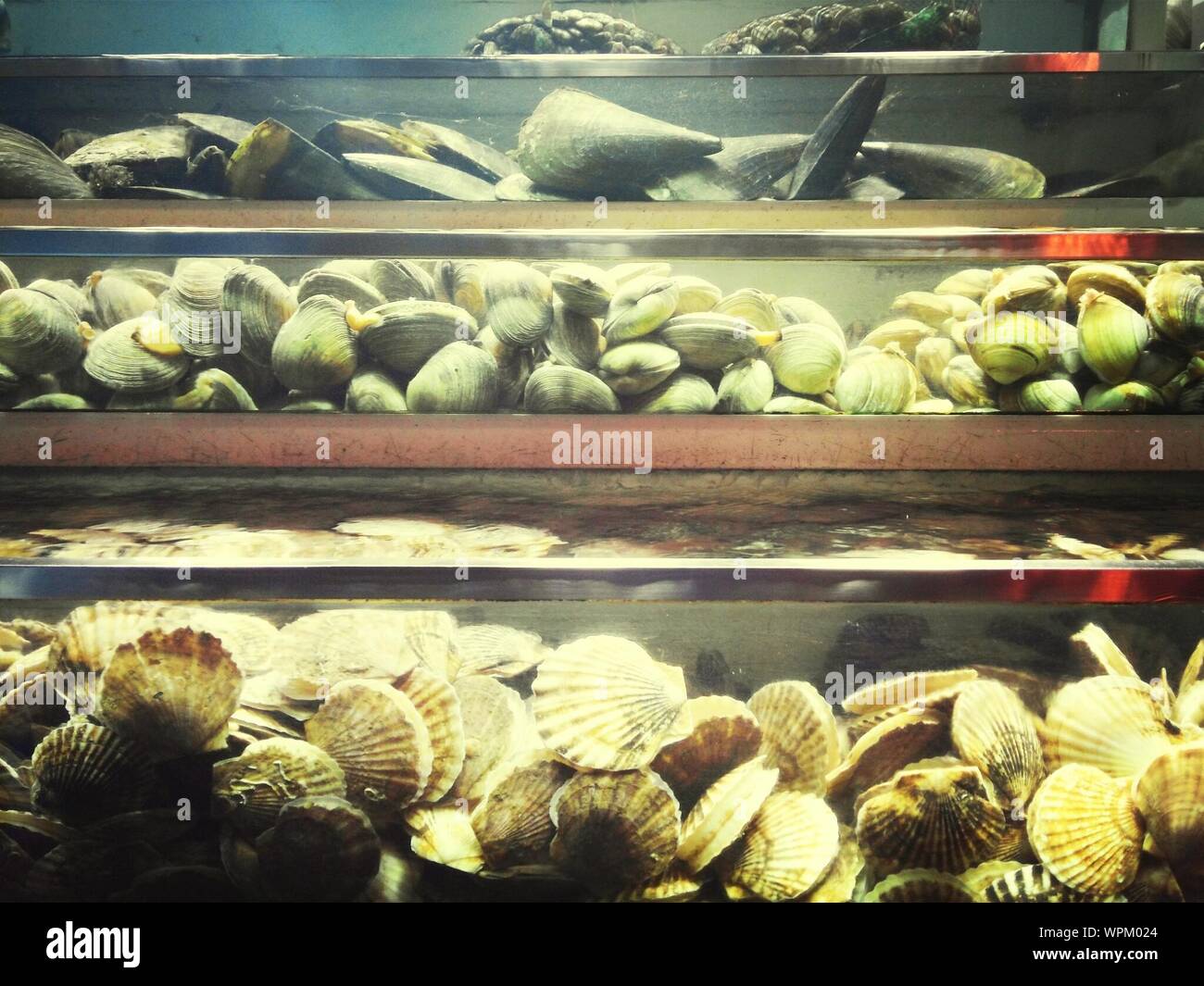 Tank shells hi-res stock photography and images - Alamy