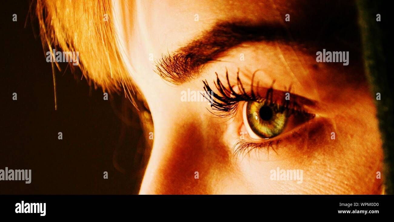 Auto eye focus hi-res stock photography and images - Alamy