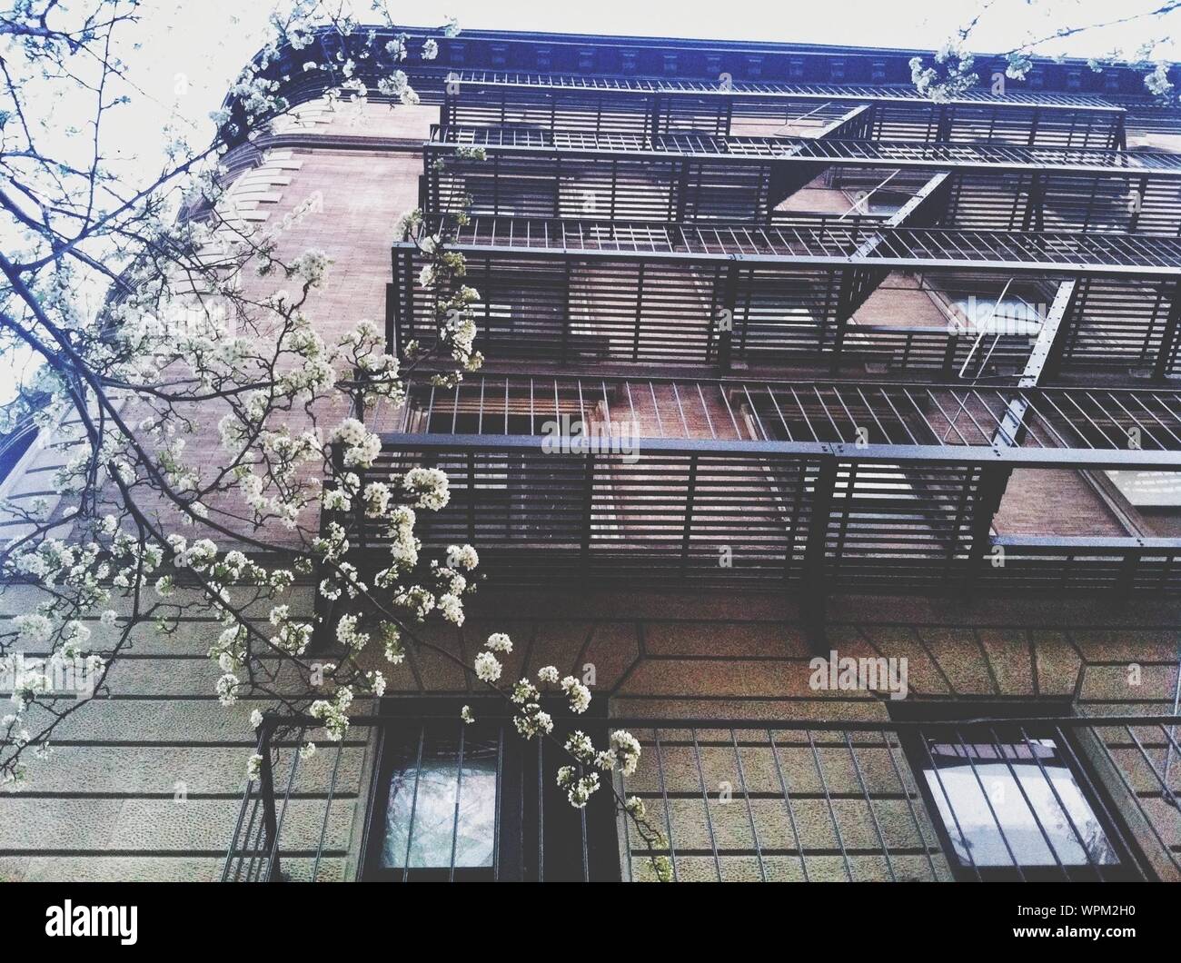 Fire escapes fire escape on hi-res stock photography and images - Alamy