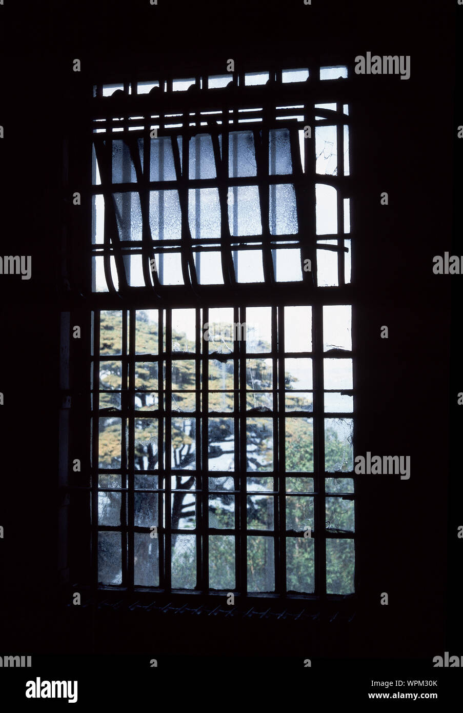 Trees through Prison Window Stock Photo - Alamy