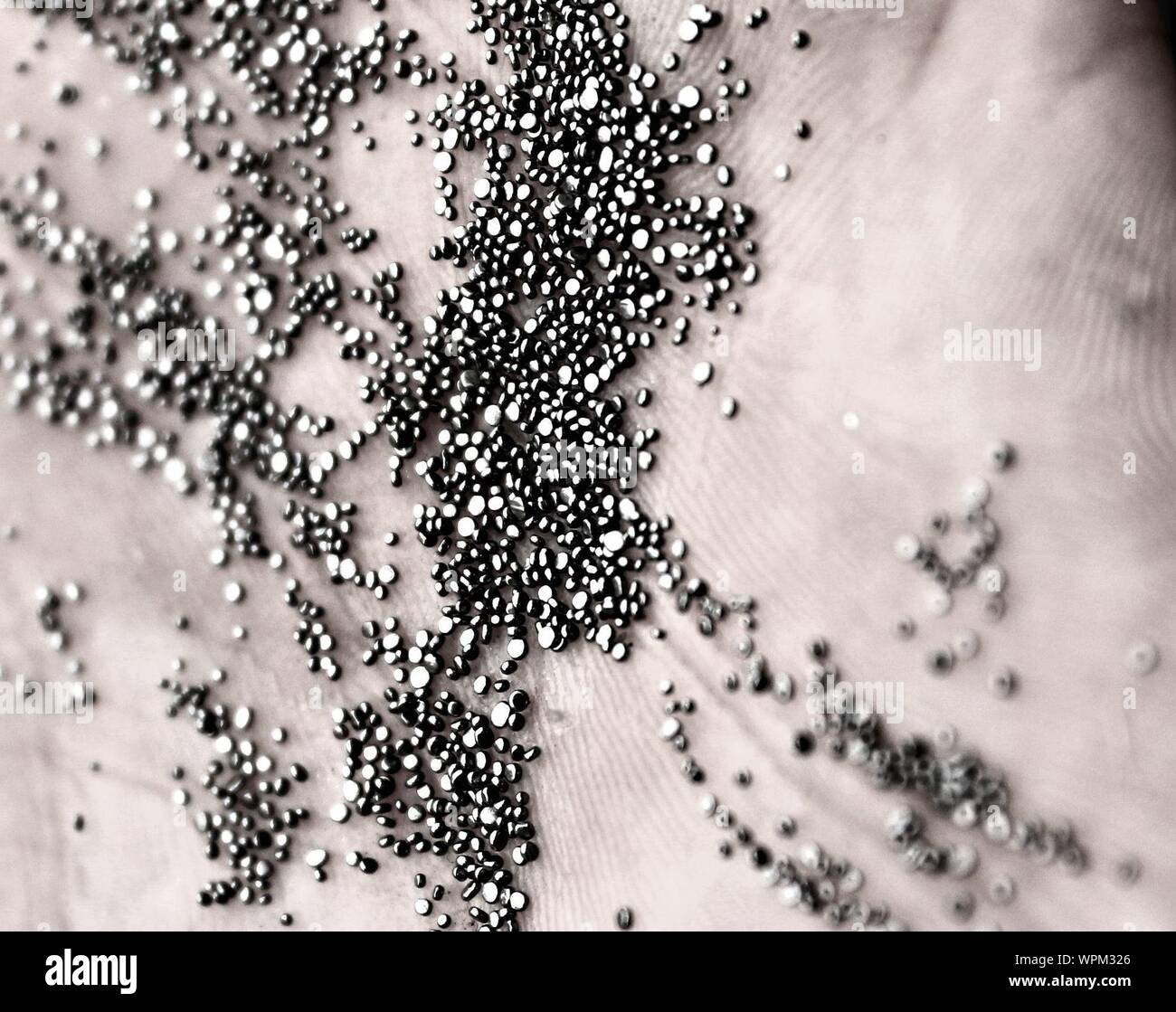 Tiny pebble hi-res stock photography and images - Alamy